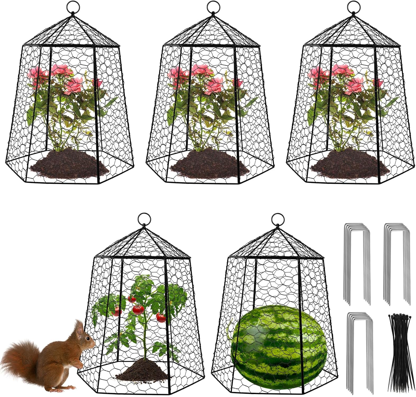 Amazon.com : Budiwati 18.5" x 13" Large Plant Protection Cage, 5 Pcs ...