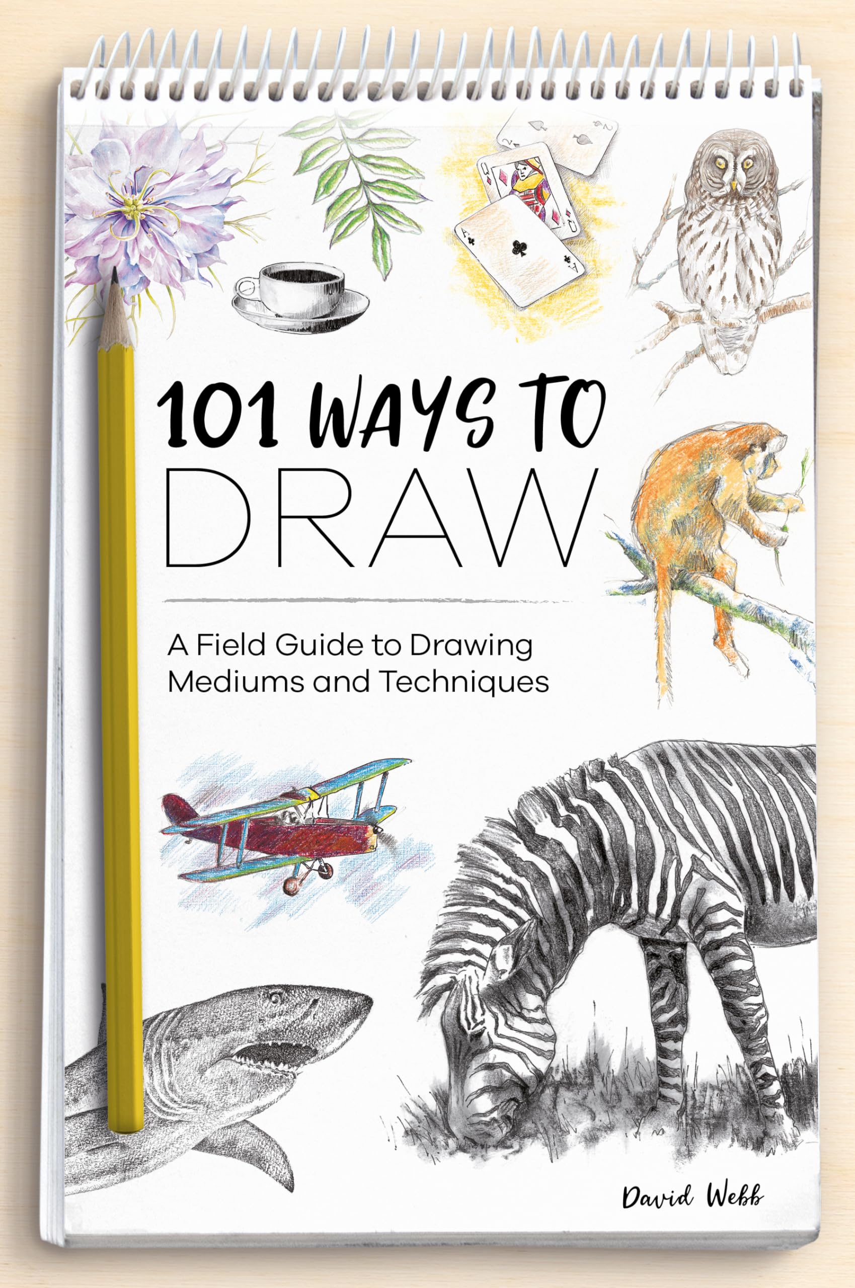 101 Ways To Draw: A Field Guide to Drawing Mediums and Techniques ...