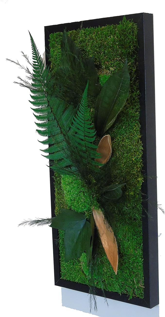 Quadro vegetale stabilizzato giungla esente da manutenzione - quadro di ...