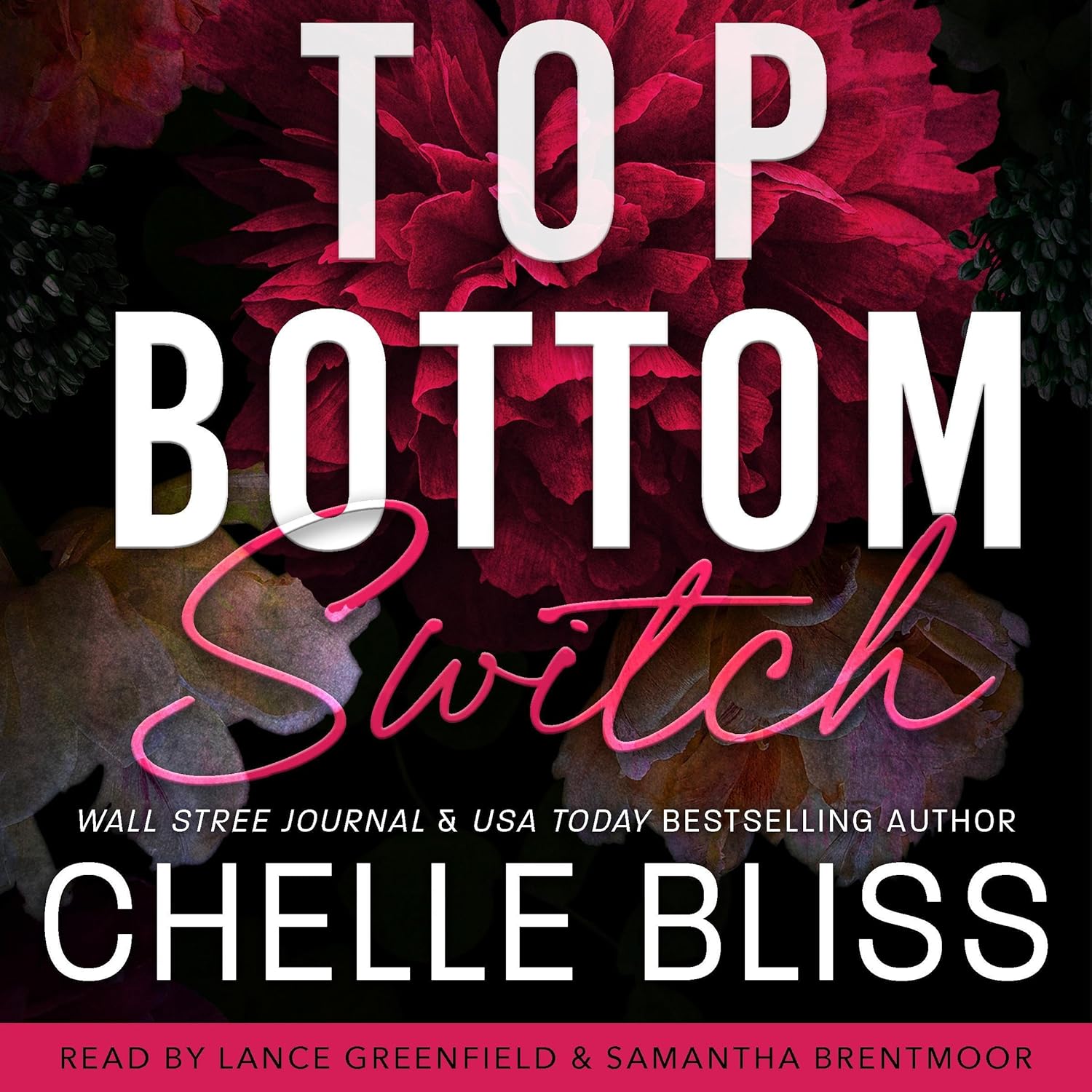 Amazon.com: Top Bottom Switch (Audible Audio Edition): Chelle Bliss ...