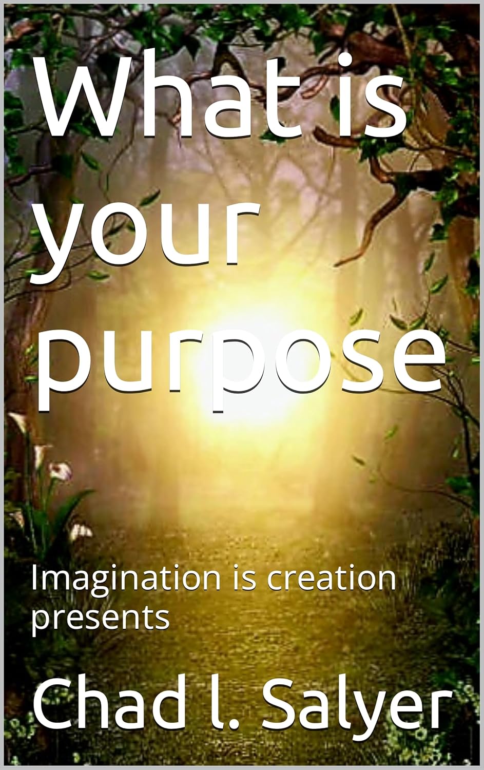 What is your purpose: Imagination is creation presents (Imagination is ...