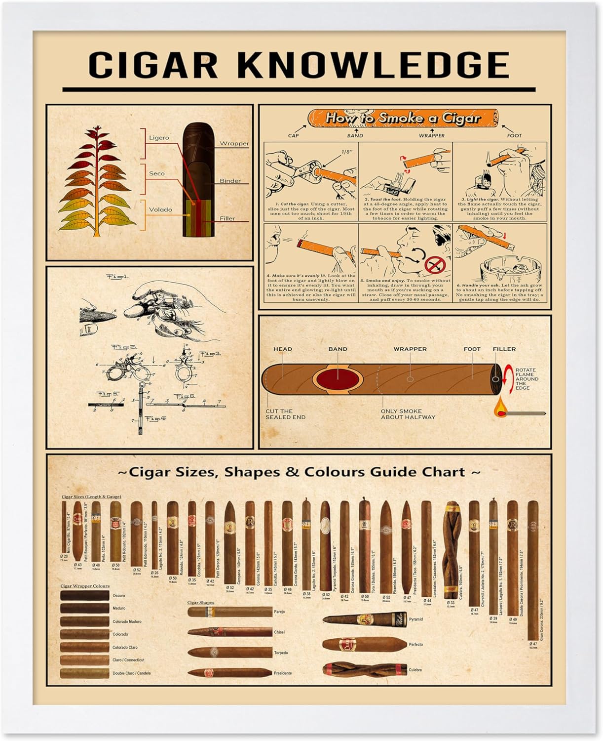 Amazon.com: Poster Master Cigar Knowledge Poster - Cigar Sizes, Shapes ...