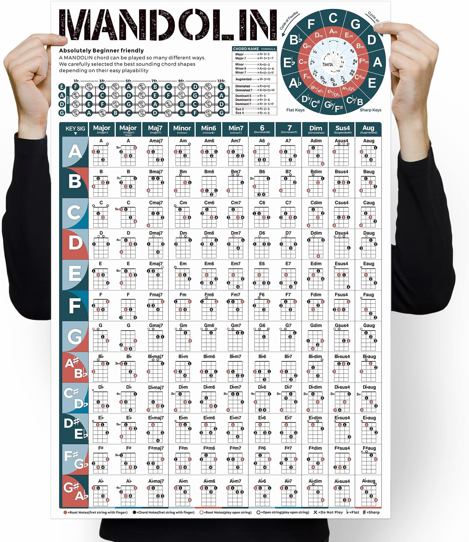 Amazon.com: VICASKY Mandolin Chord Chart Poster, Mandolin Note Chart ...