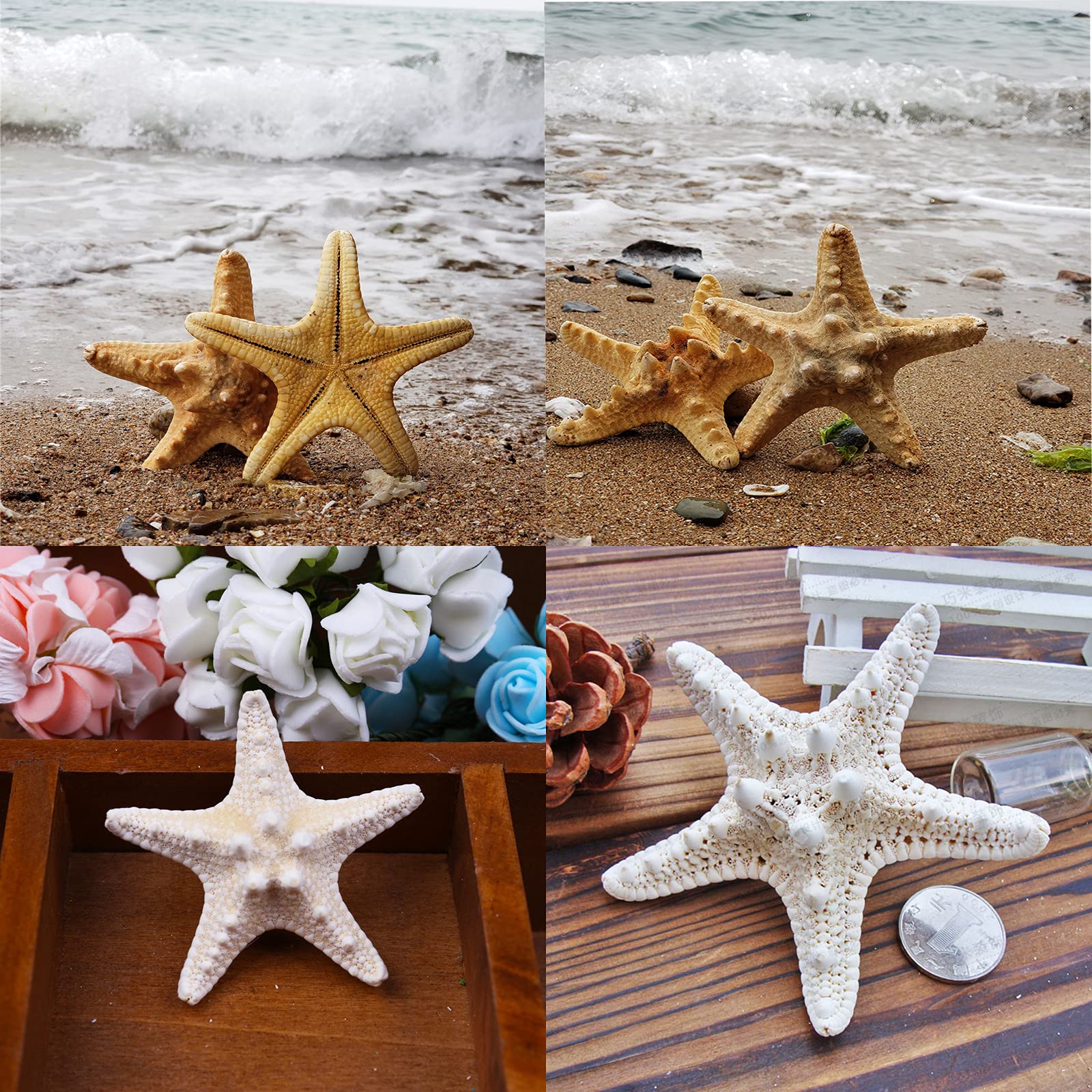 Starfish And Seashells On The Beach