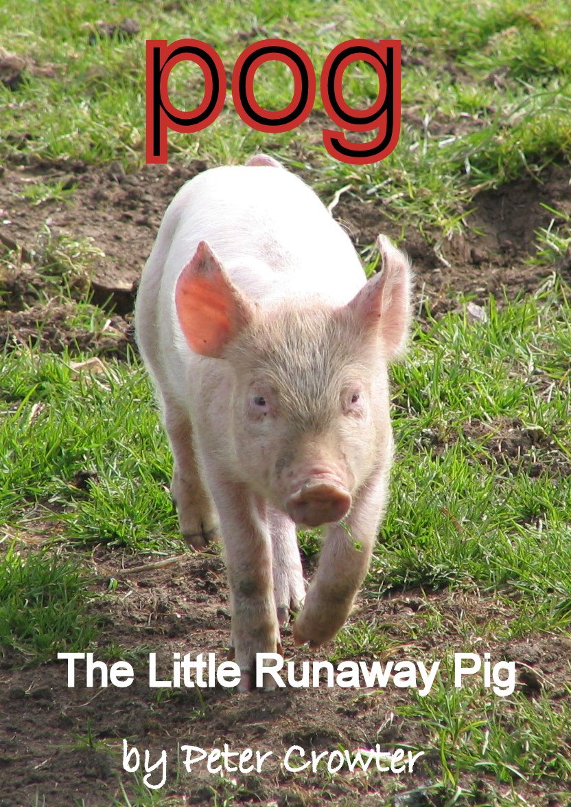 Amazon.com: POG, THE LITTLE RUNAWAY PIG (THE ADVENTURES OF A FAIRLY ...