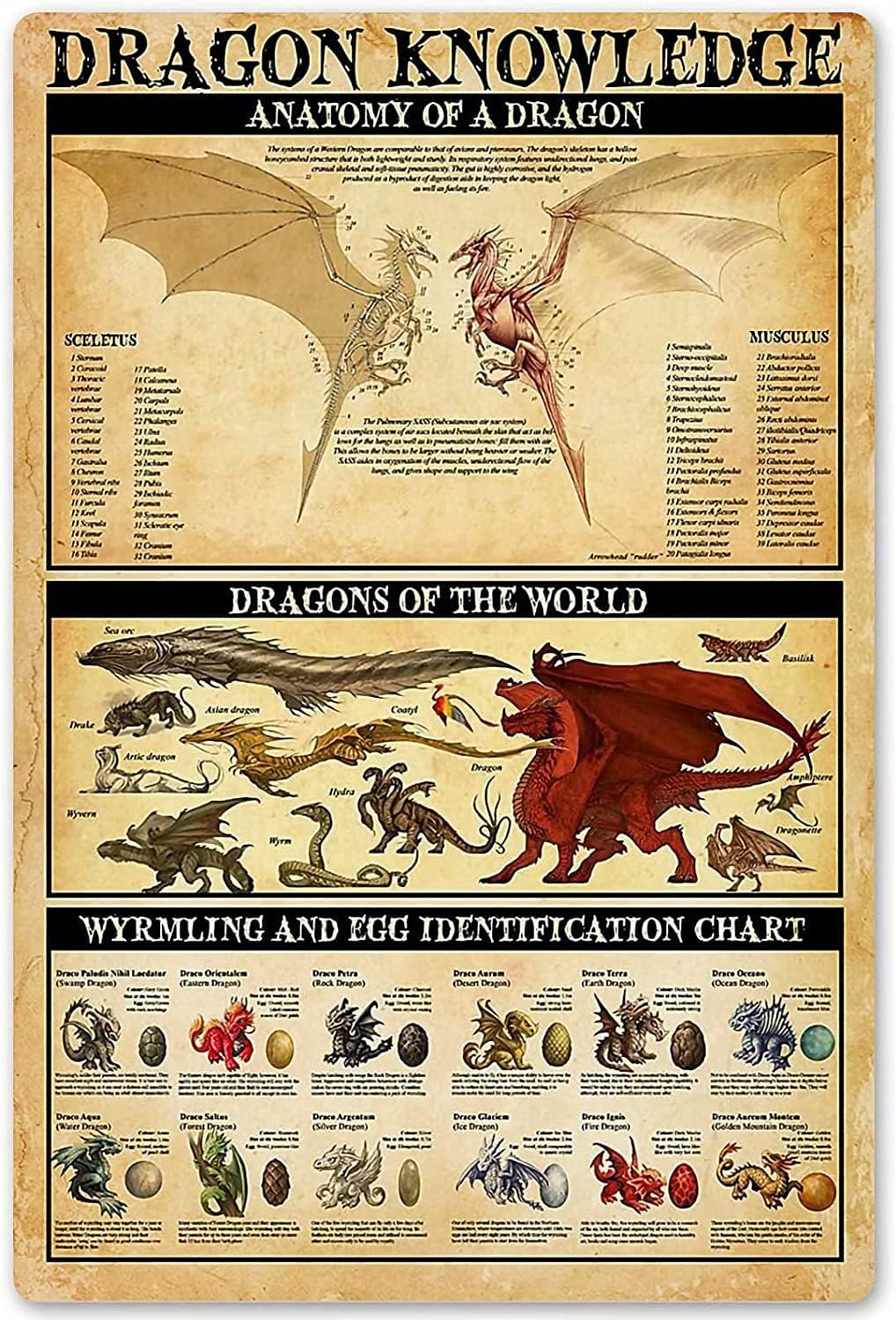 Amazon.com: Dragon Knowledge Metal Tin Signs Anatomy Dragon Egg Chart ...