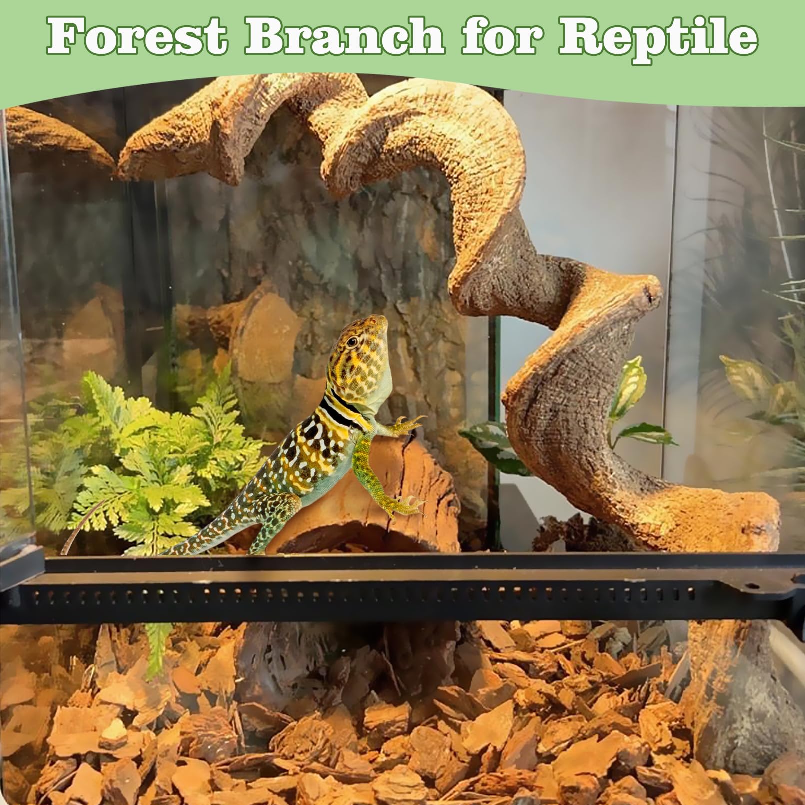 Snapklik.com : Reptile Climbing Decor 2 Pack Thick Wood Branches Snake ...