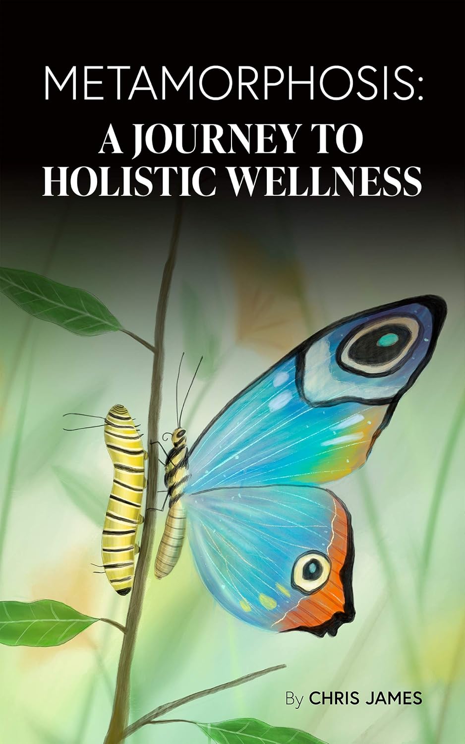 Metamorphosis: A Journey To Holistic Wellness - Kindle edition by James ...