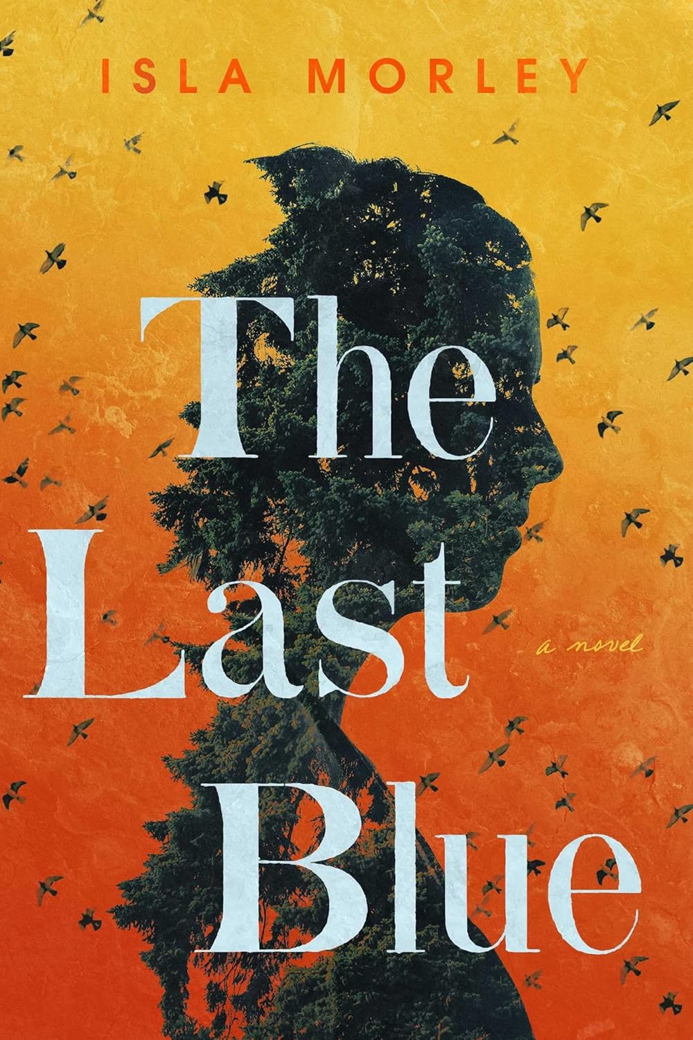 Amazon.com: The Last Blue: A Novel: 9781643134185: Morley, Isla: Books