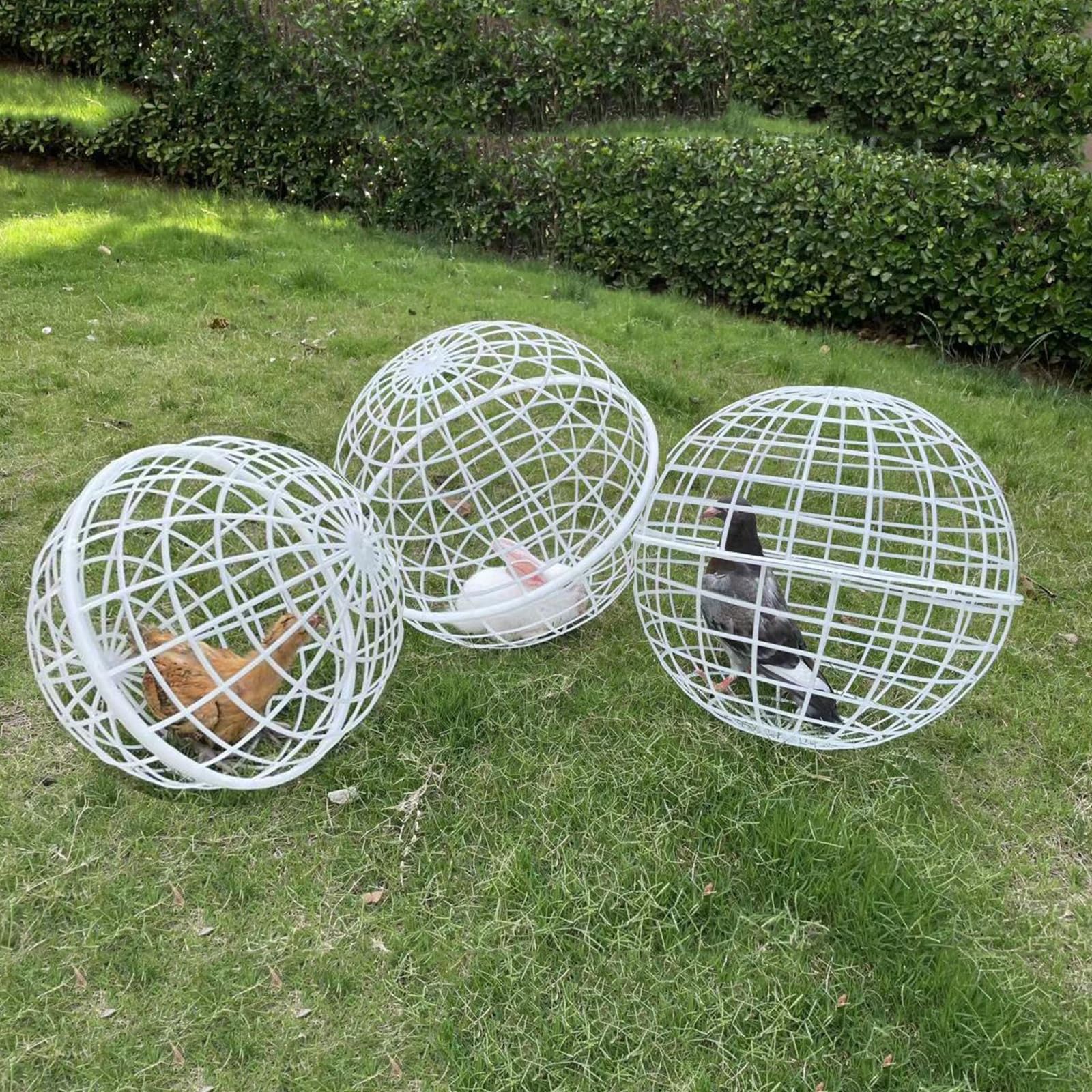 Rolling Chicken Coop DIY Chicken Coop Plans: 40+ Free Beginner Designs