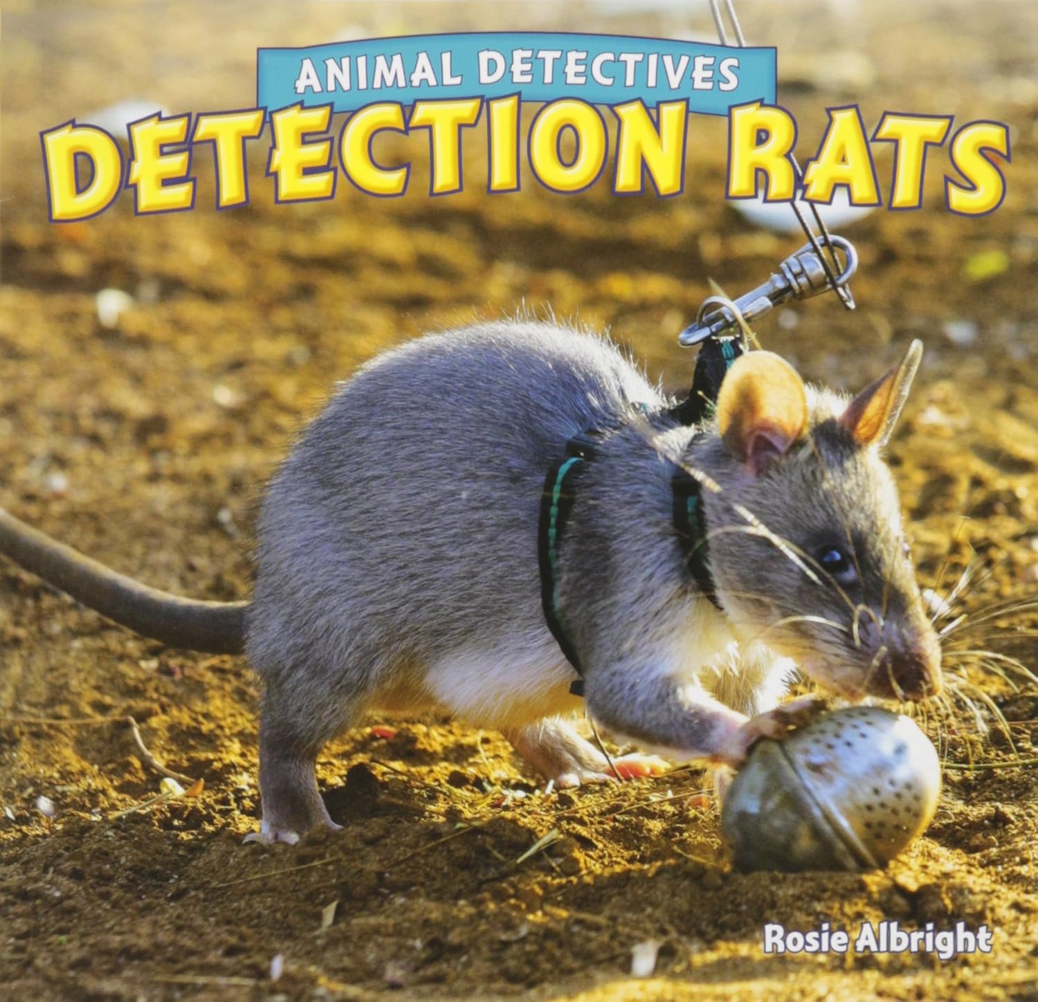 Amazon.com: Detection Rats (Animal Detectives): 9781448862566: Albright ...