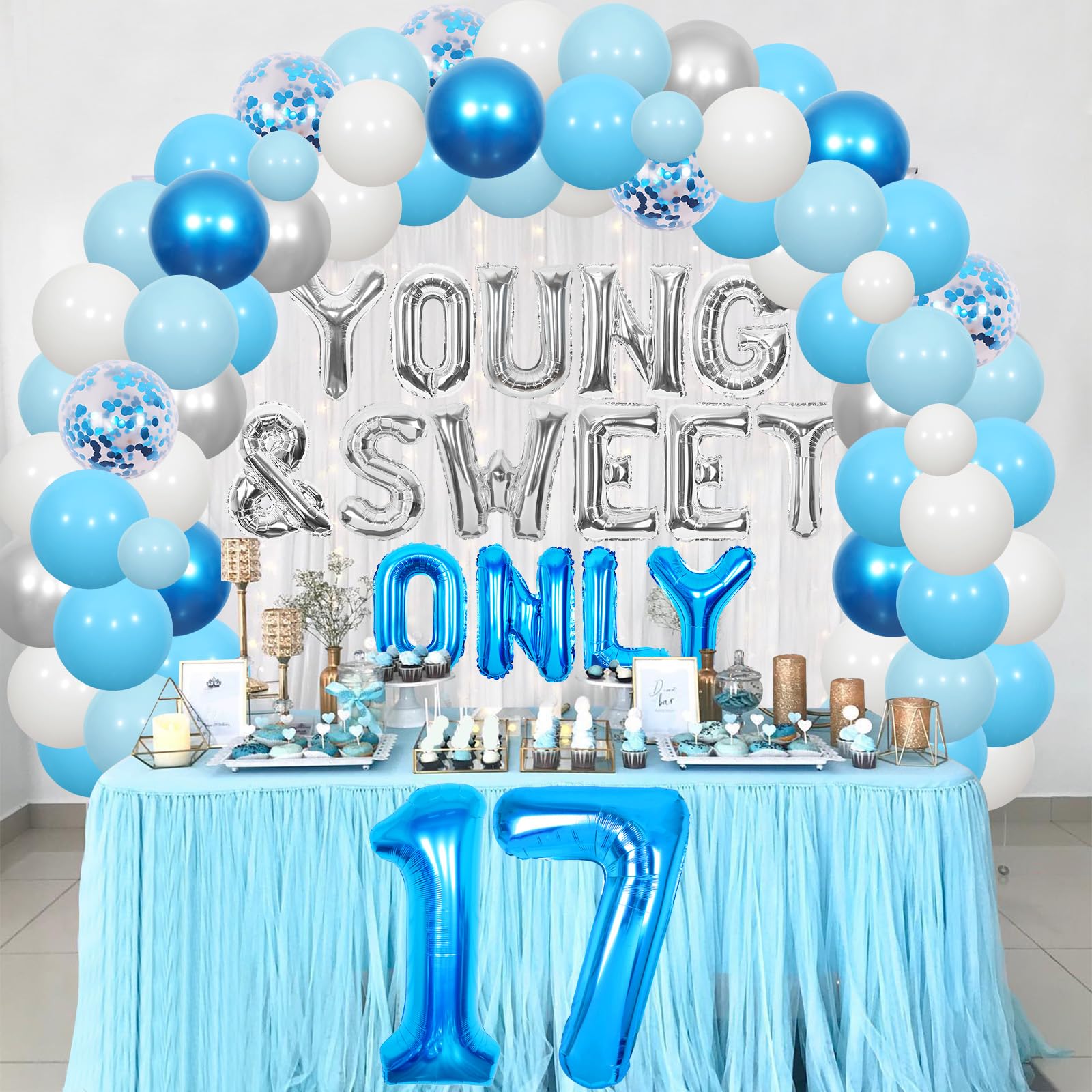 17th Birthday Boy Party