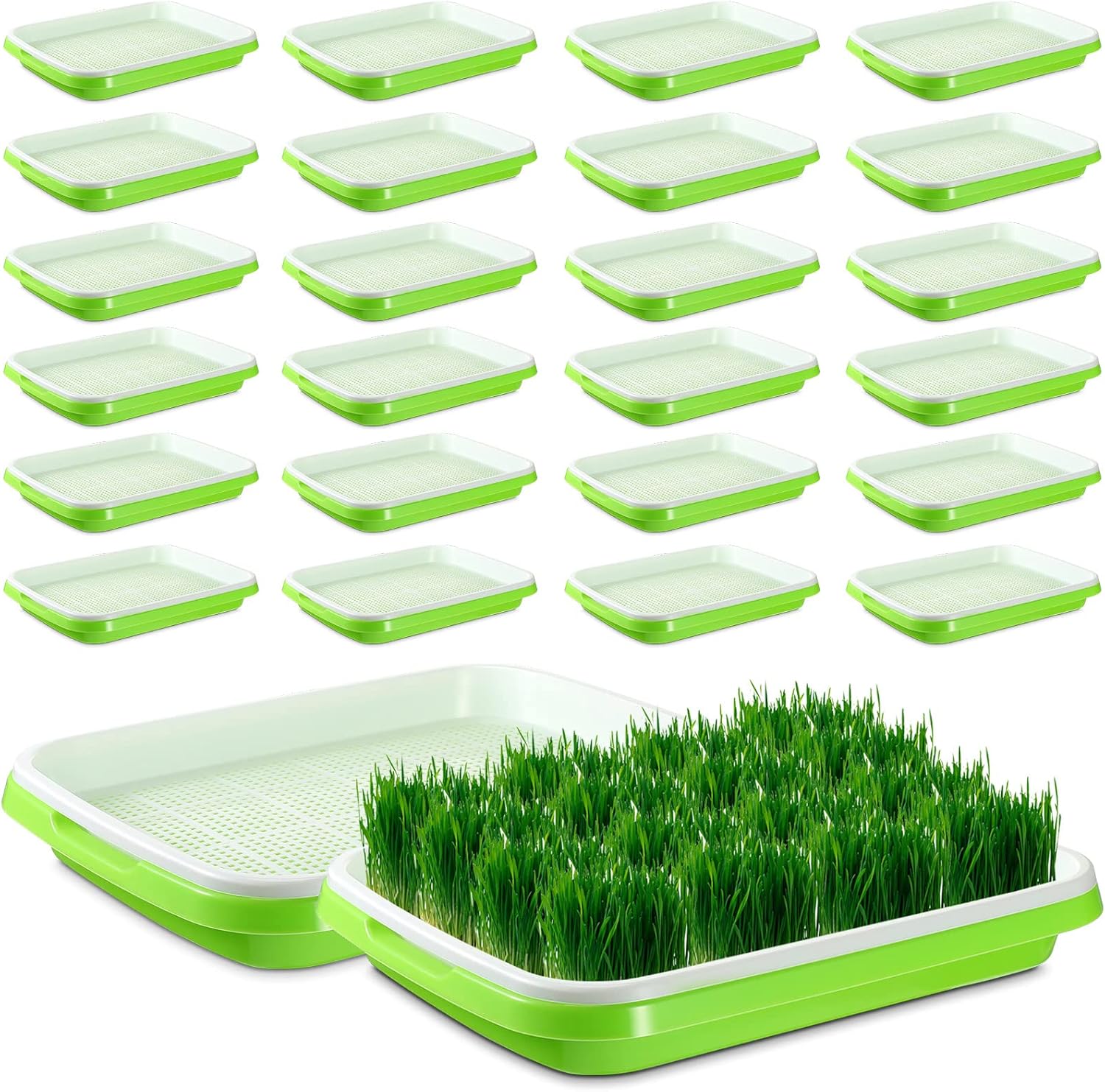 Amazon.com : 24 Pcs Seed Sprouter Tray with Drain Holes Nursery Tray ...