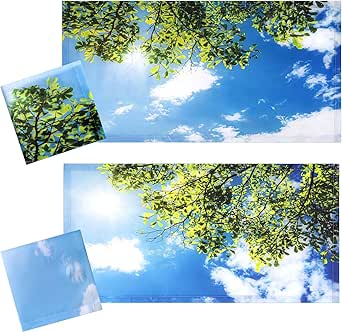 Tujoe 2 Pcs Fluorescent Light Covers for Ceiling Lights 4' x 2 ...