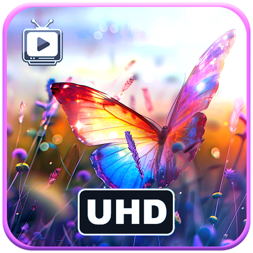 Serene Butterfly Ambience Screensaver For Tablets And Fire TV - App on ...