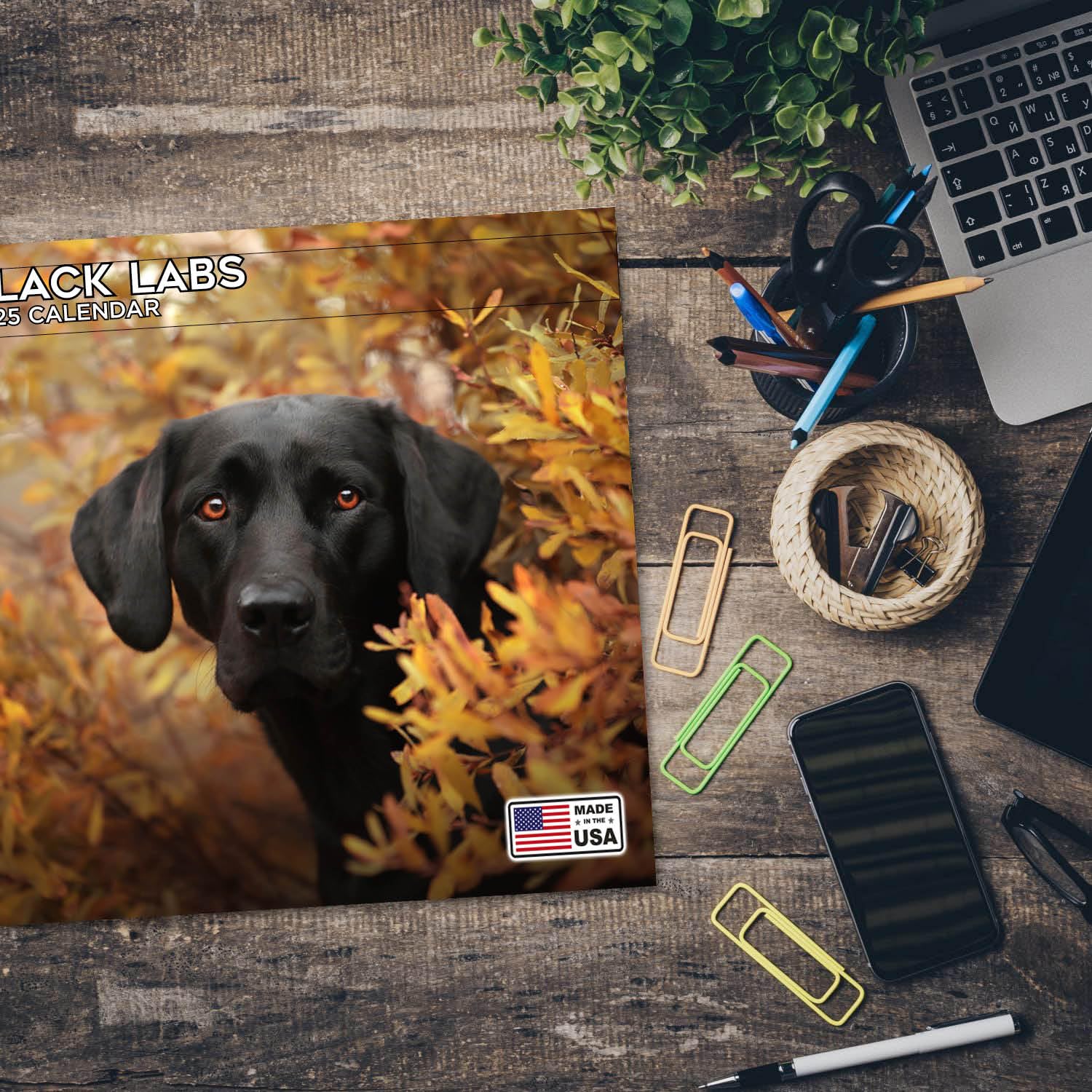 Snapklik.com : 2025 Black Labrador Calendar - Dog Breed Wall Calendar ...