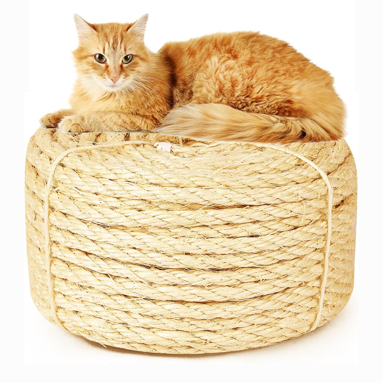 Amazon.com : Sisal Rope Cat Scratcher 4mm by 164Ft Cat Tree Rope for ...