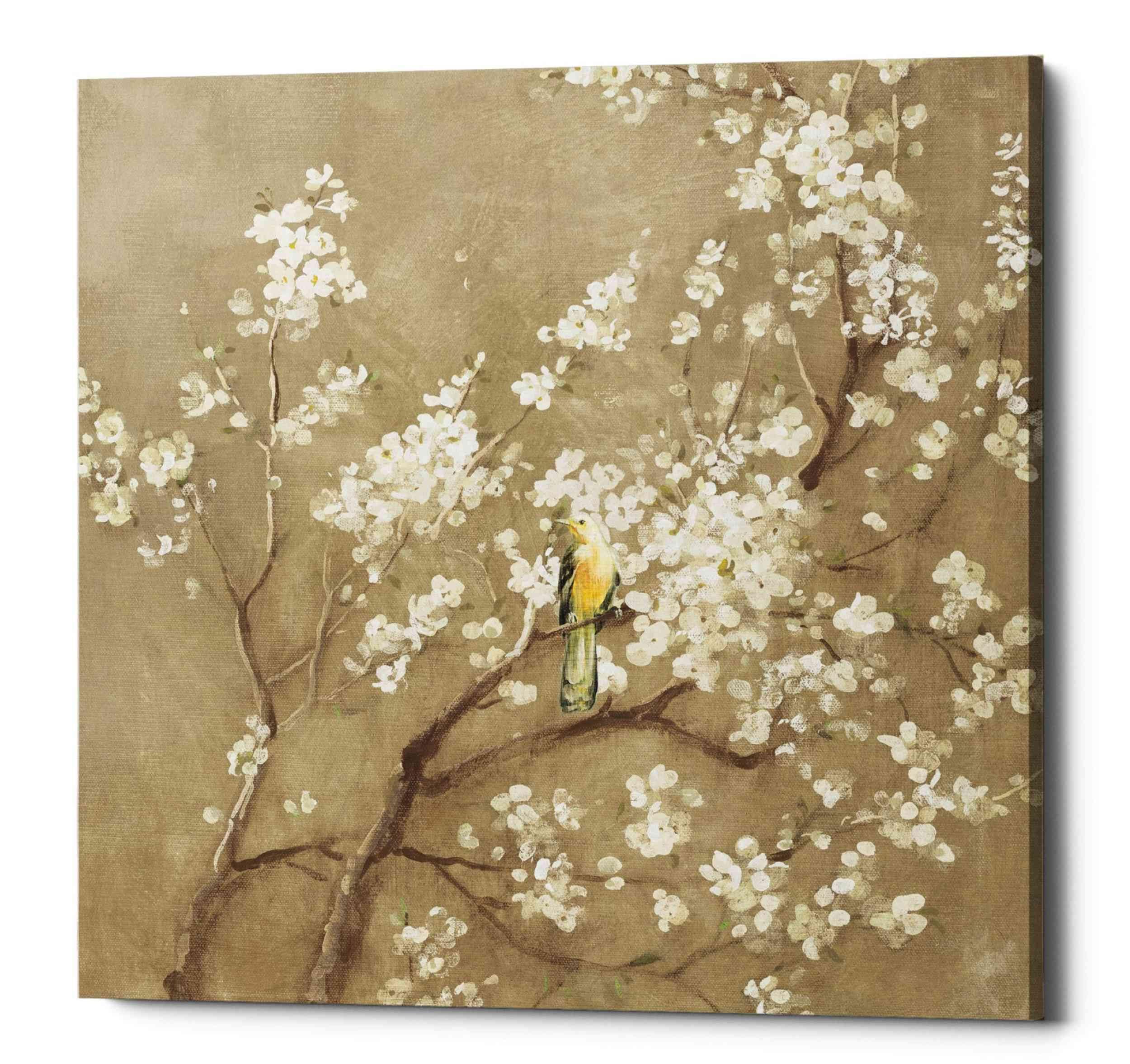 Amazon.com: Epic Graffiti 'White Cherry Blossom I Neutral' by Danhui ...