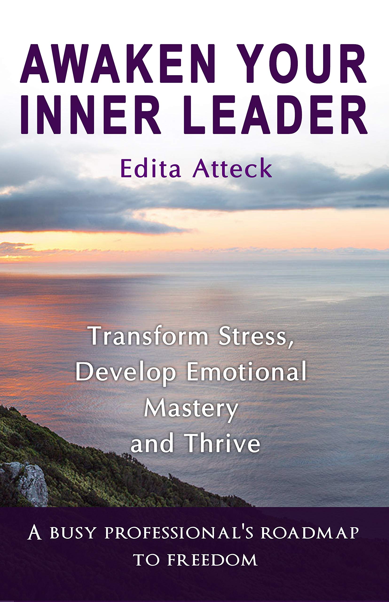 [BOOK]-Awaken Your Inner Leader: Transform Stres | giannaswansonのブログ