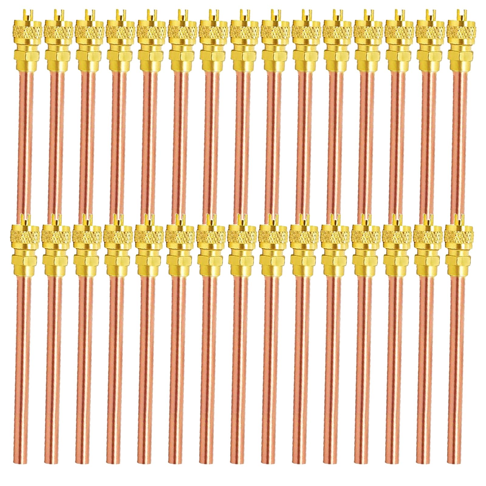 Amazon.com: 30Pcs Access Service Valve, Refrigerator Access Valves Kit ...