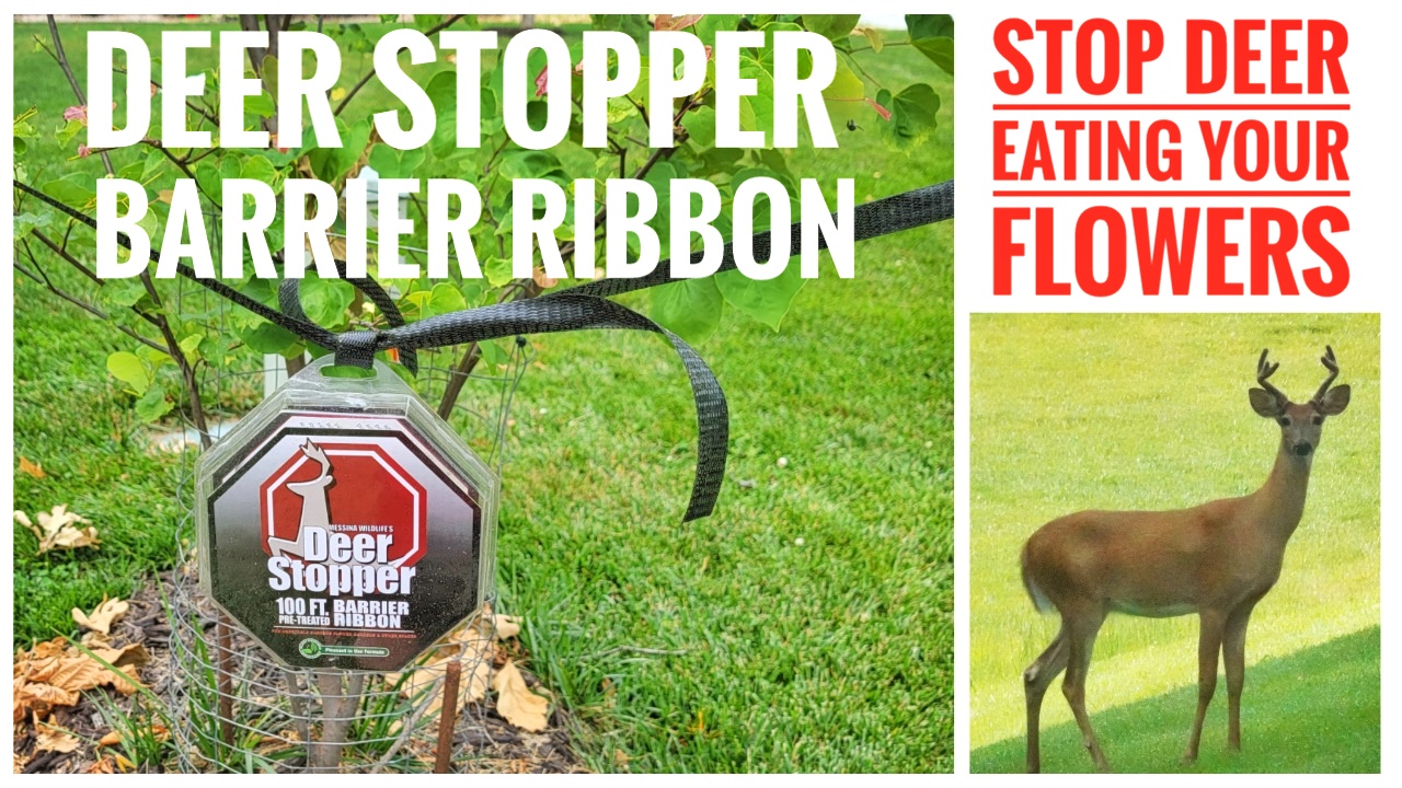 Watch REVIEW Deer Stopper Barrier Ribbon Works Great on Amazon Live