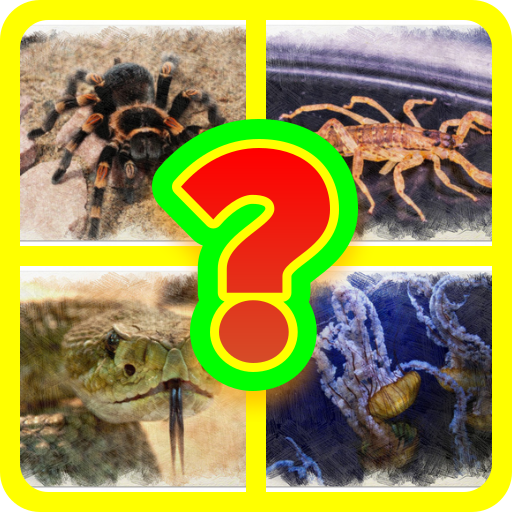 4 Pics 1 Word Game - App on the Amazon Appstore