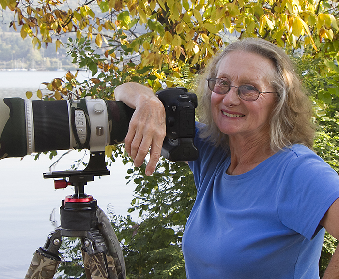 Amazon.co.uk: Marie Read: books, biography, latest update