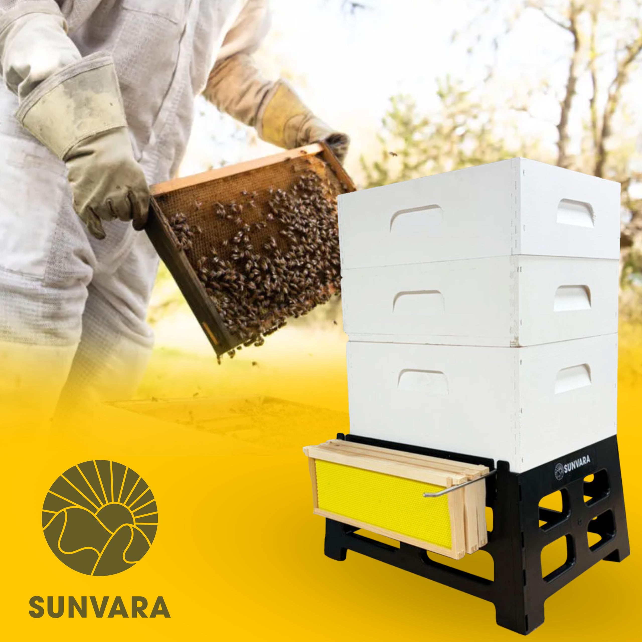 Snapklik.com : Honey Bee Hive Box - 10 Frame Deep Super 9-5/8" - Made ...