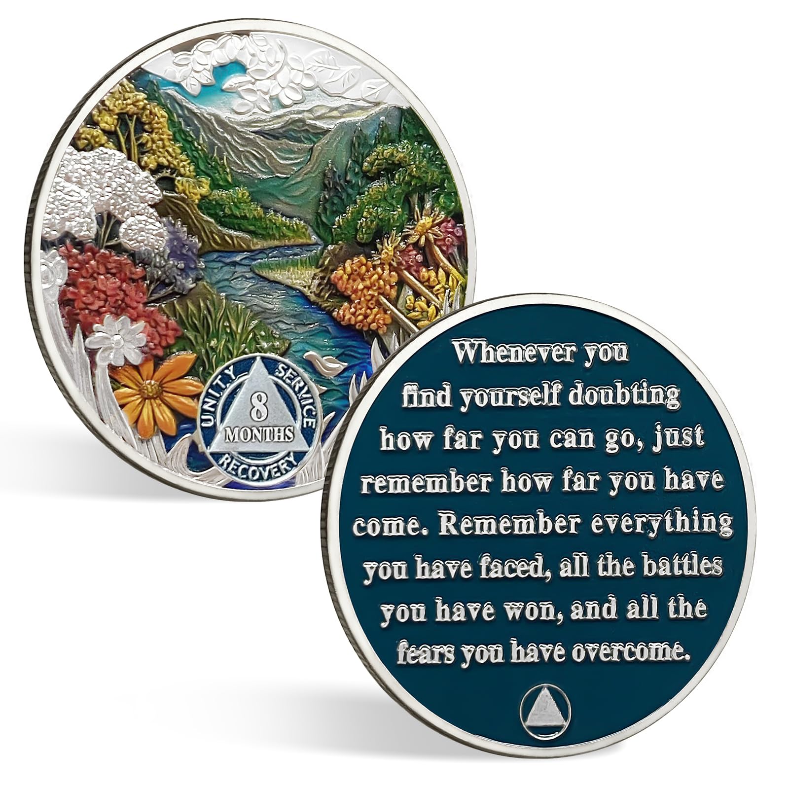 Amazon.com : CHURYUML 8 Month Sobriety Coin Eight Month Sobriety Chip ...