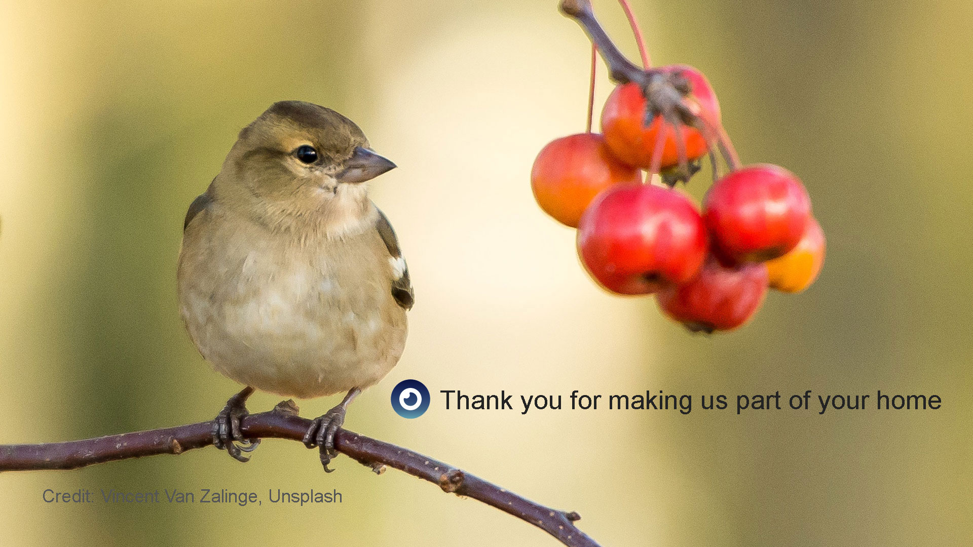 dbell - App on Amazon Appstore