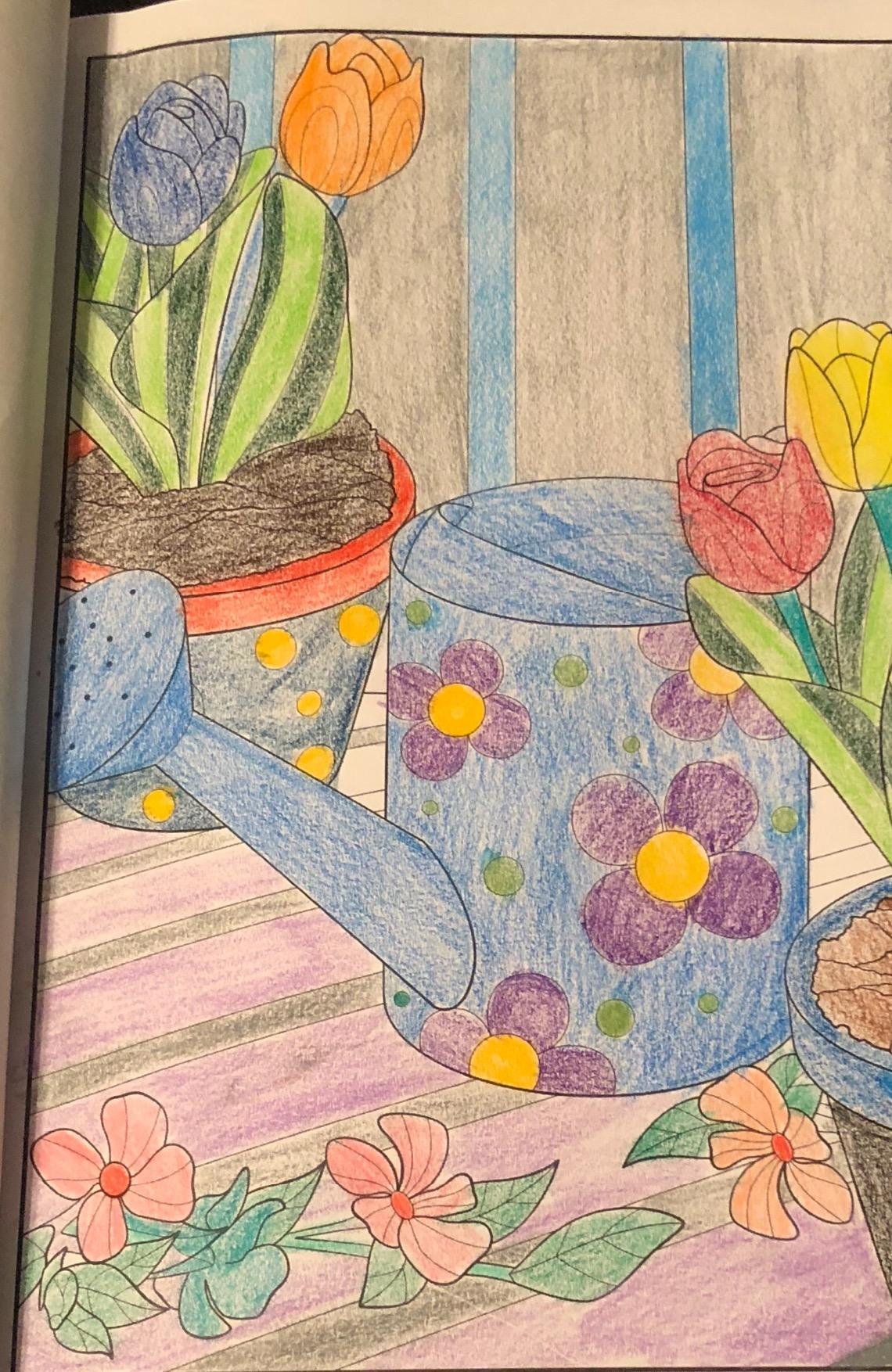 Amazon.com: Large Print Adult Coloring Book of Spring: An Easy and ...