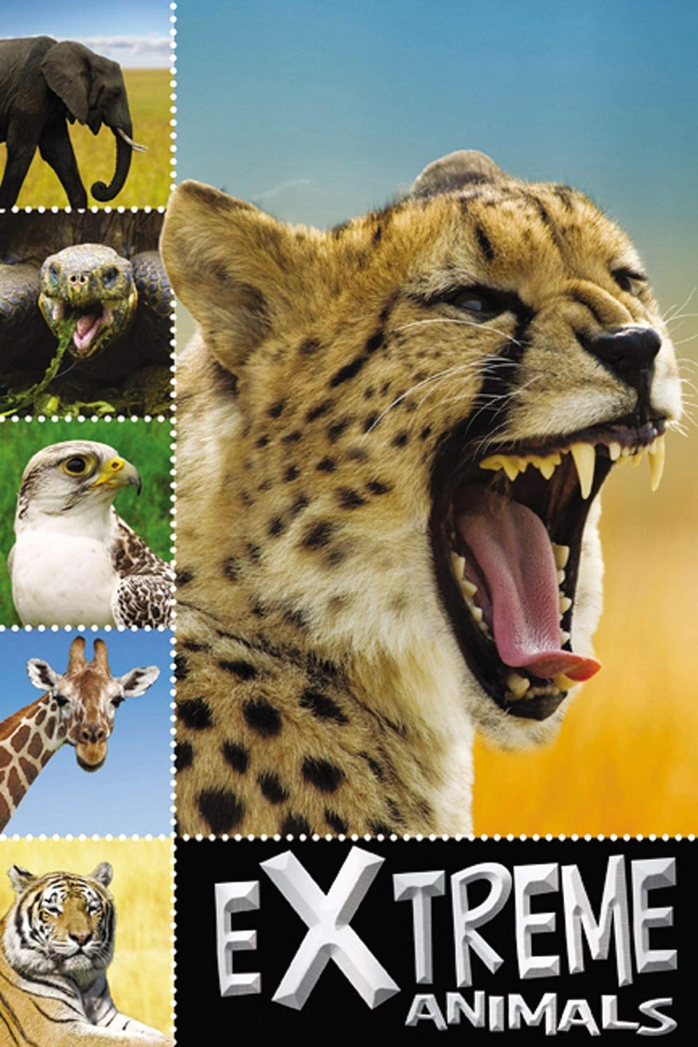 Amazon.com: Extreme Animals (Ready To Read): 9781848796881: Creese ...