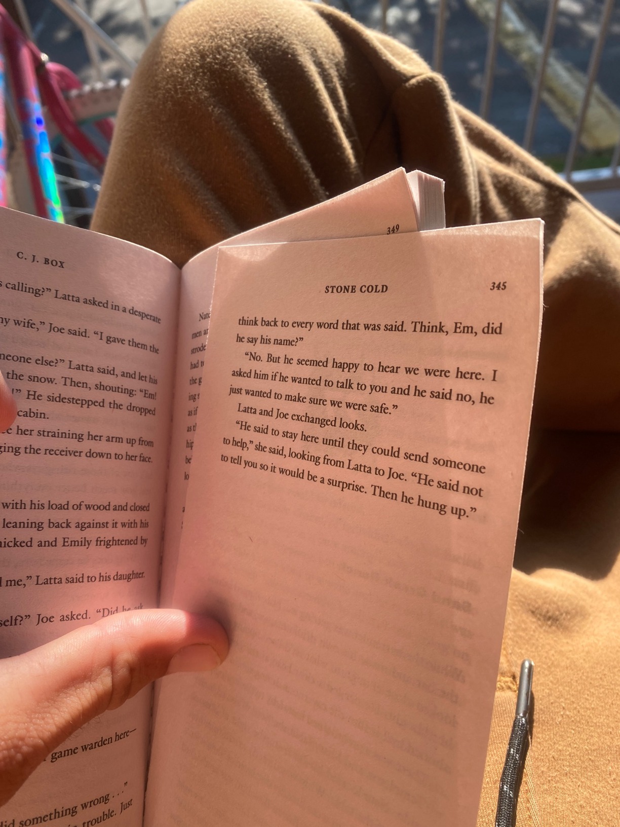 Amazon.com: Stone Cold: Joe Pickett, Book 14 (Audible Audio Edition): C ...