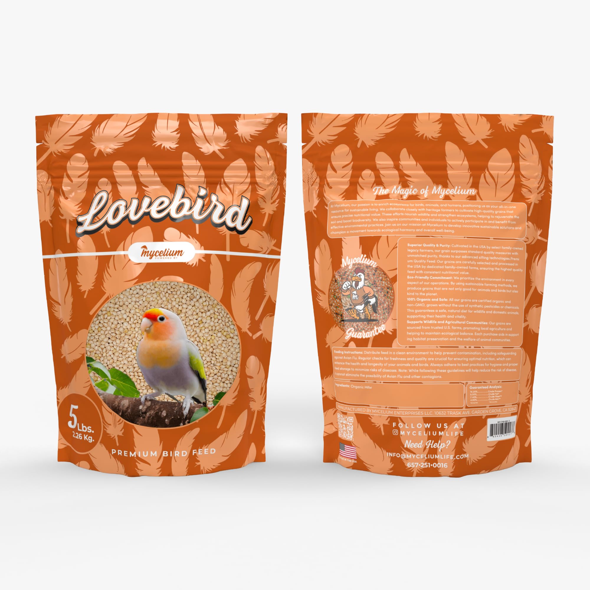 Snapklik.com : Premium Millet Organic, Non-GMO, High Nutritional Value ...