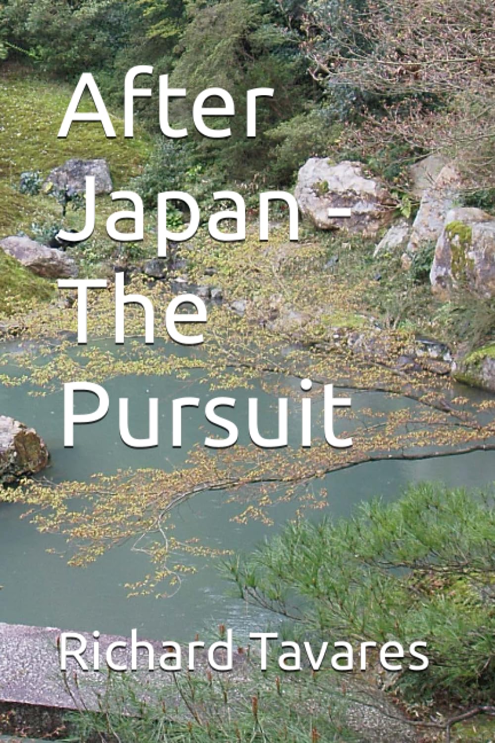 Amazon.com: After Japan - The Pursuit: 9798858264484: Tavares, Richard Stephen: Books