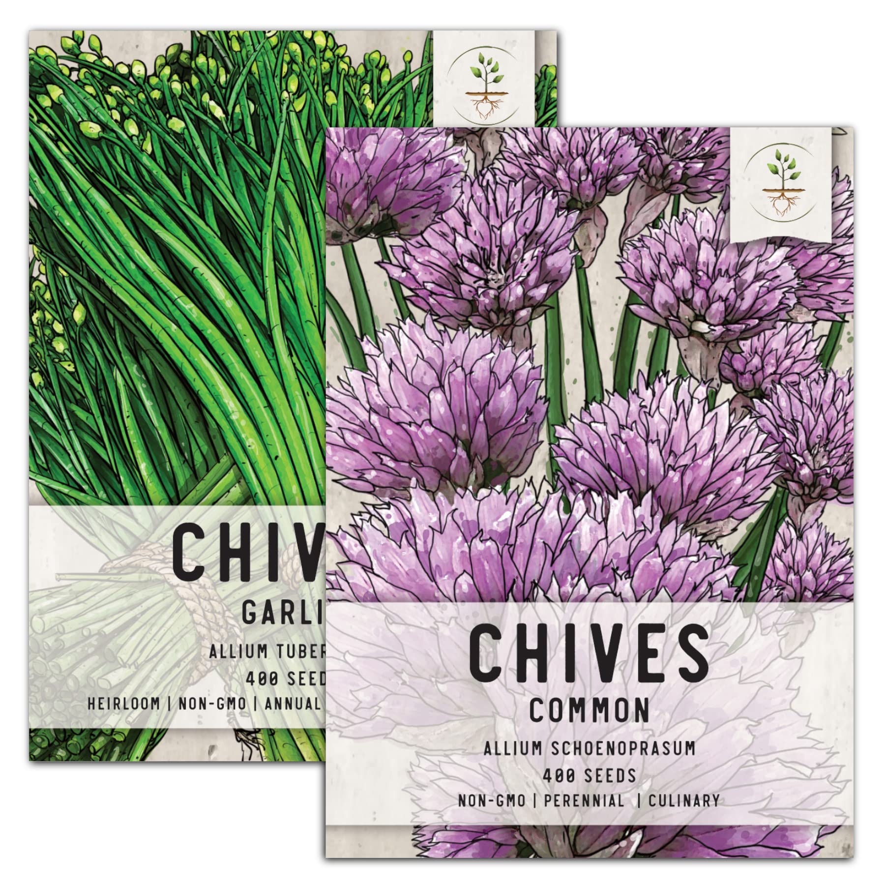 Amazon.com : Seed Needs, Culinary Chives Seed Packet Collection (2 ...