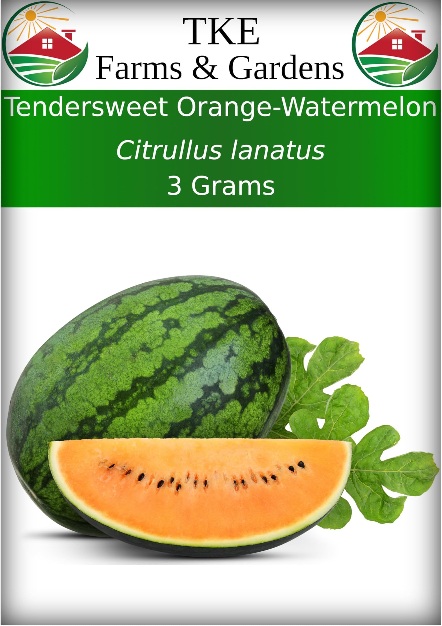 Amazon.com : TKE Farms & Gardens – Watermelon Seeds for Planting ...