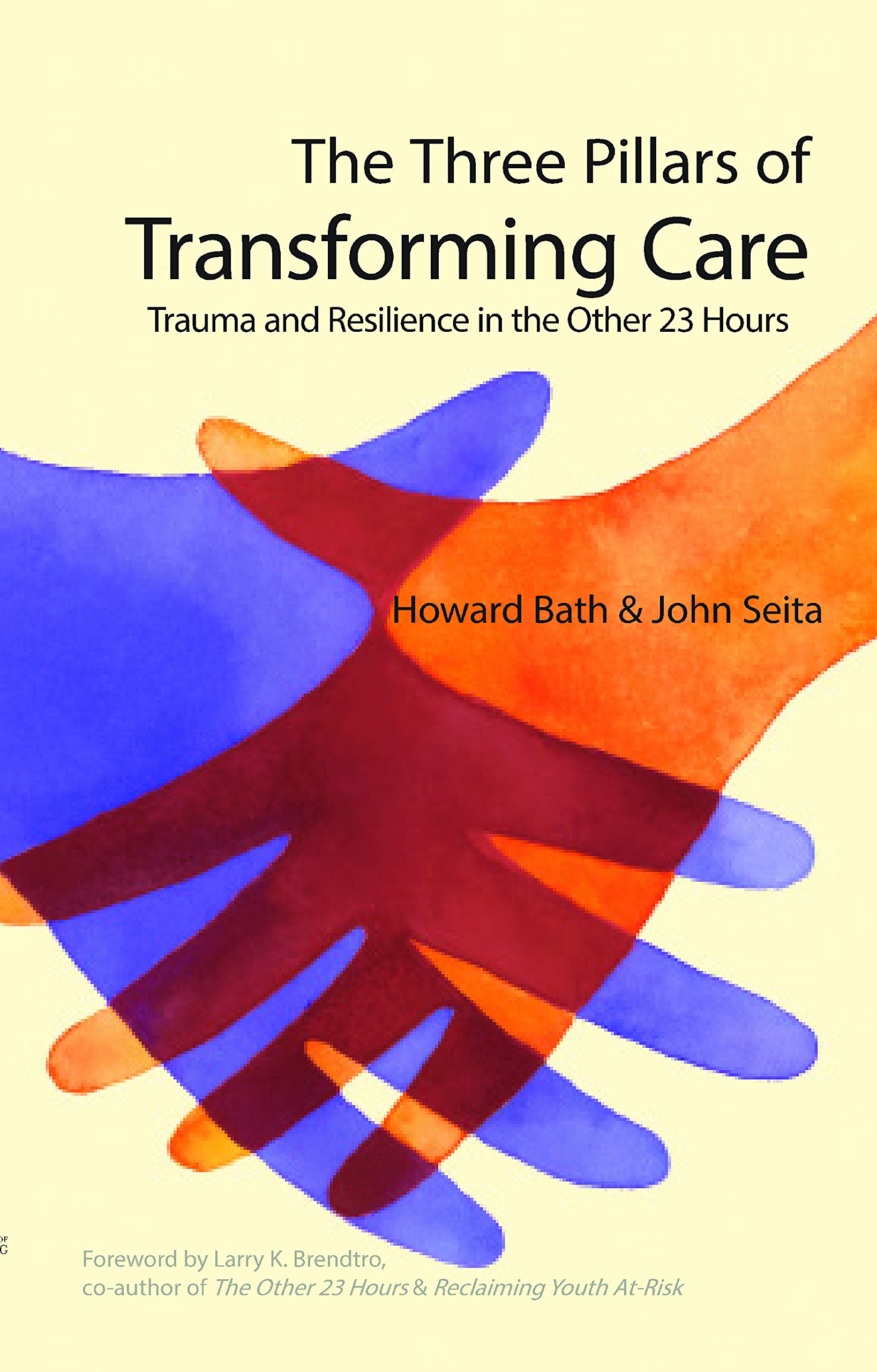 The Three Pillars of Transforming Care: Trauma and : Amazon.co.uk: Books