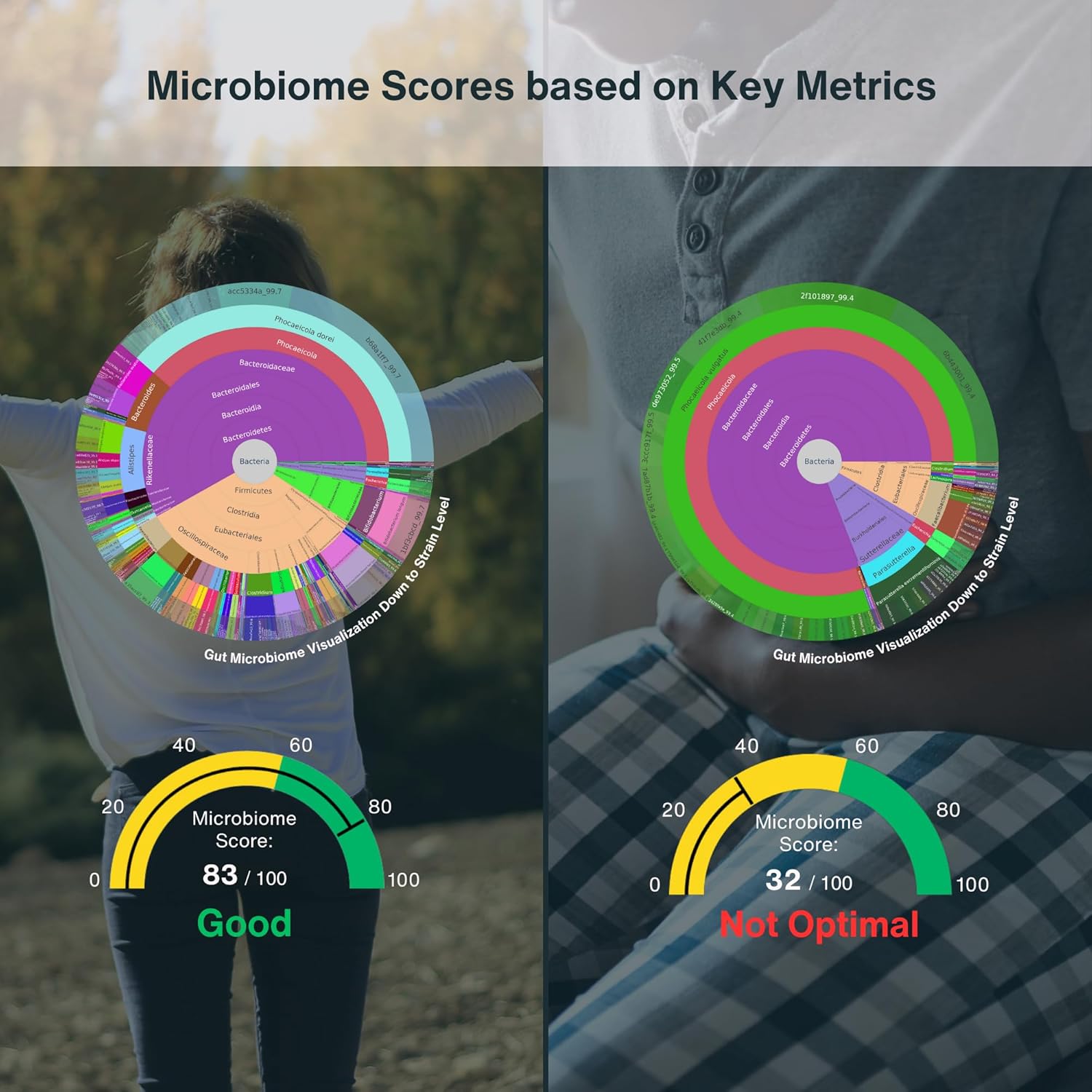 at-Home Microbiome Test | Comprehensive Microbiome Nepal | Ubuy