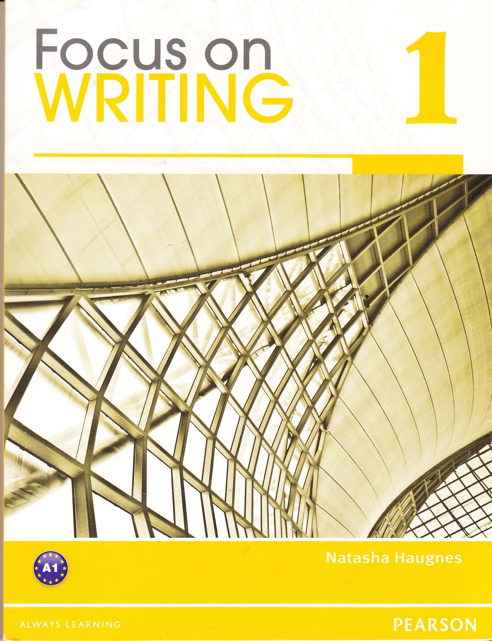 Amazon.com: Focus on Writing 1: 9780132313506: Haugnes, Natasha: Books