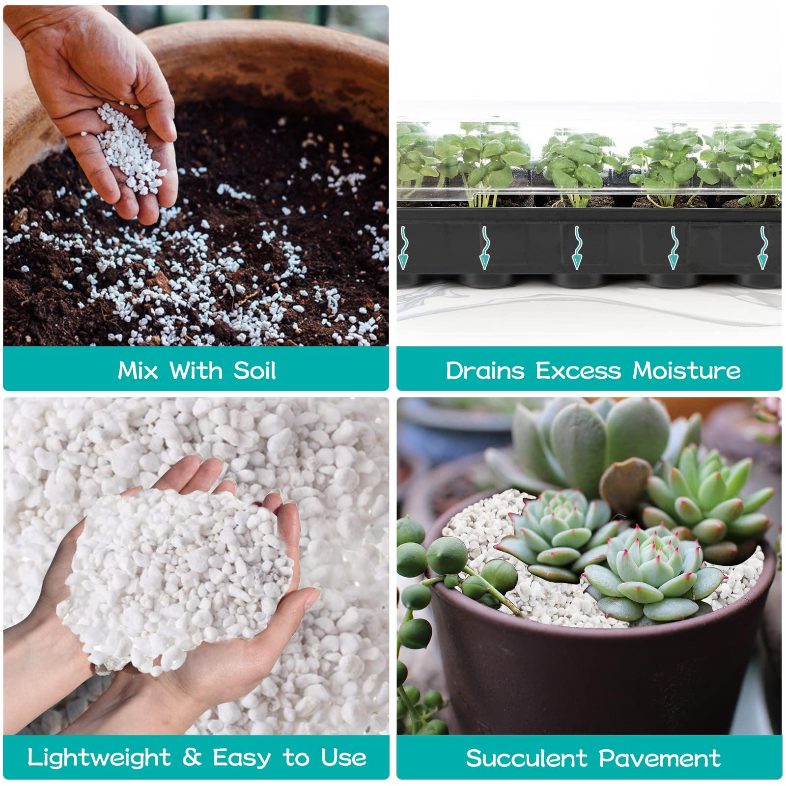Snapklik.com : Legigo 6 Quarts Organic Horticultural Perlite For Plants Indoor- Natural ...