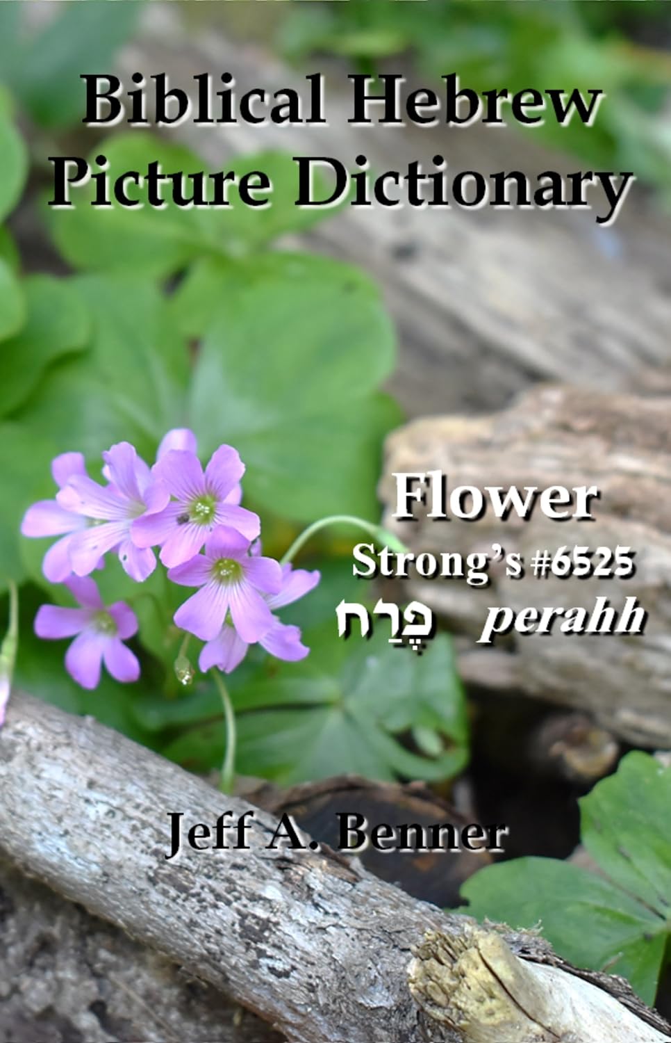 Biblical Hebrew Picture Dictionary - Kindle edition by Benner, Jeff ...
