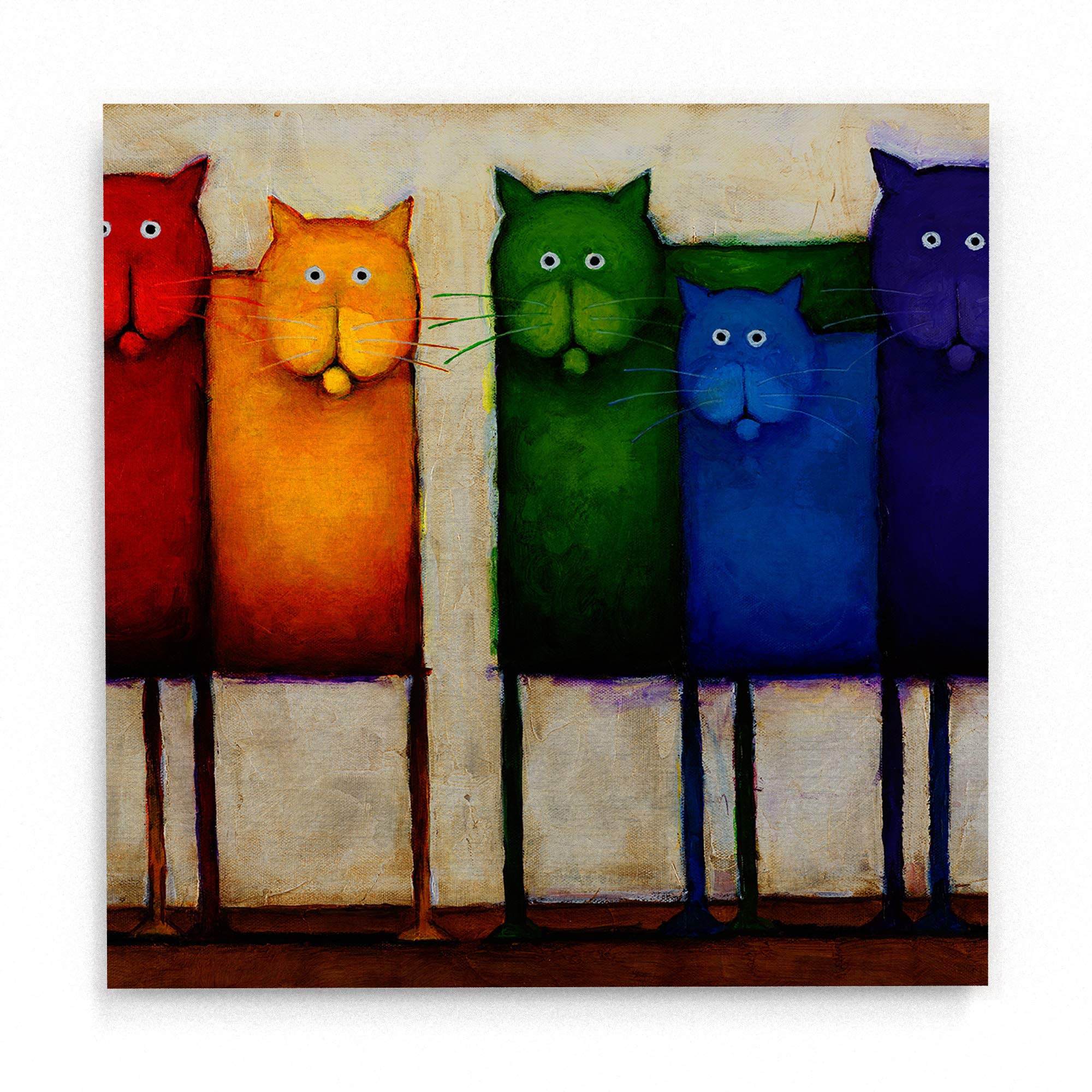 Trademark Fine Art 16x16 Rainbow Cats by Daniel Patrick Kessler, White ...