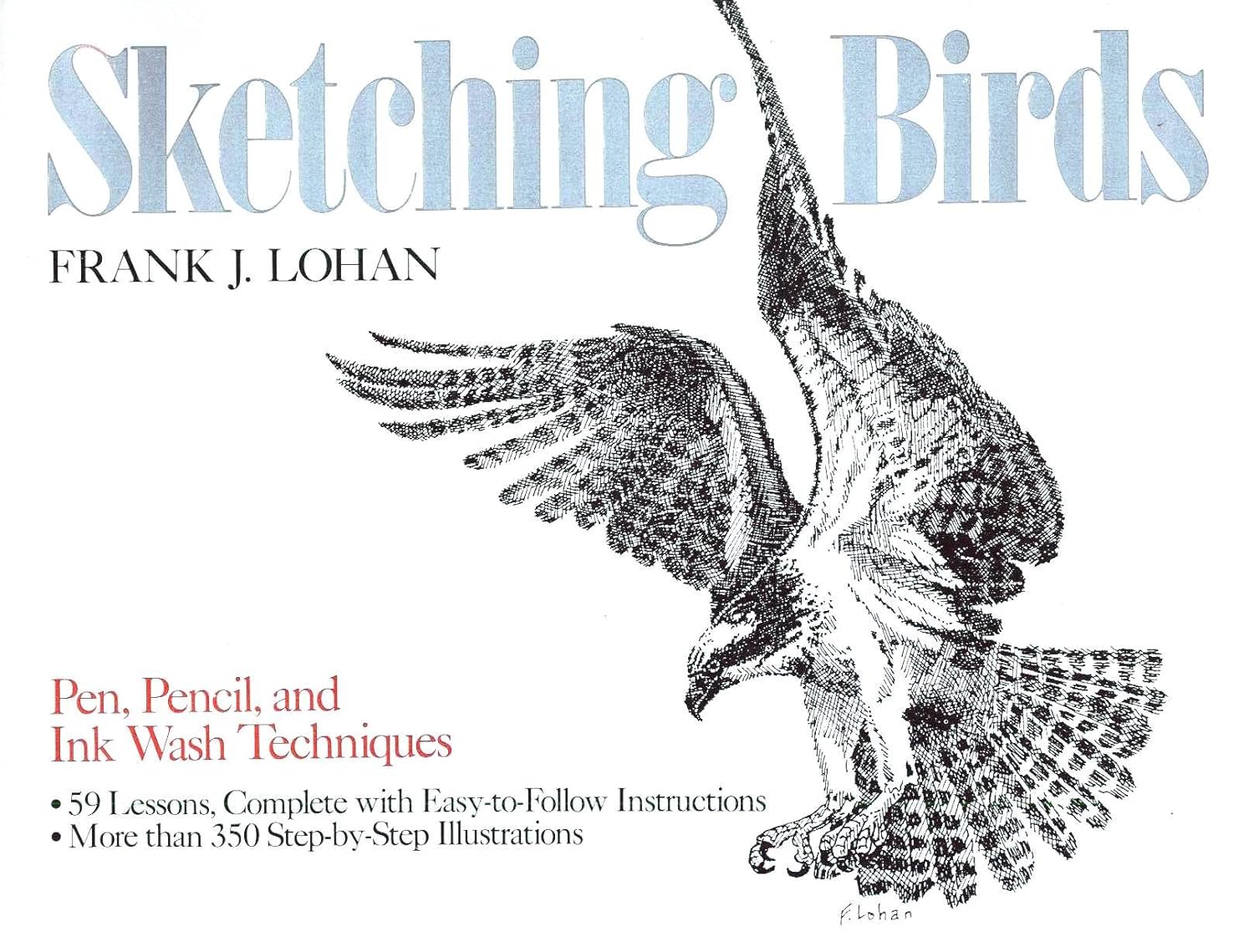 Sketching Birds: Lohan, Frank J.: 9780809241194: Amazon.com: Books