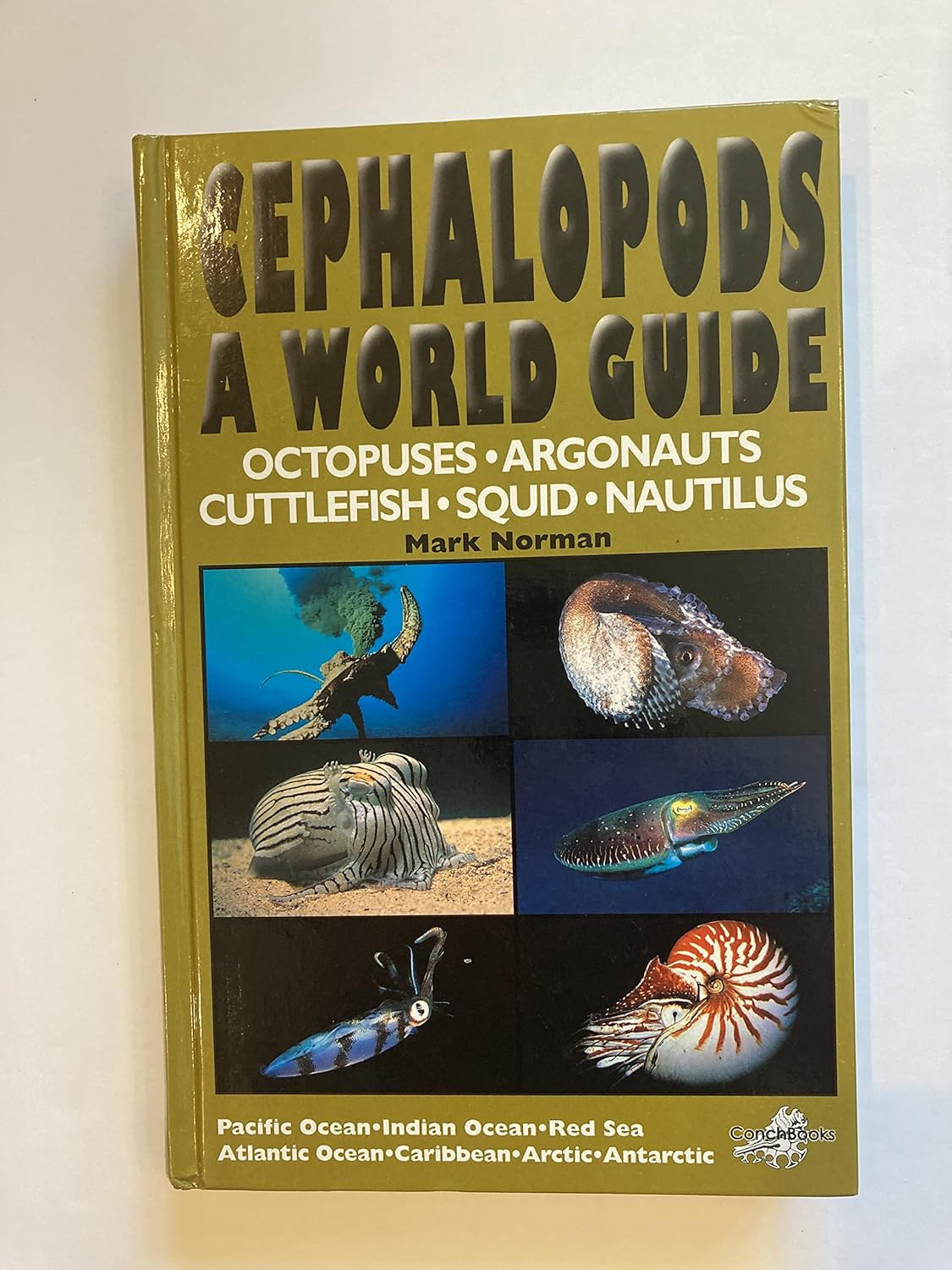 Cephalopods: A World Guide: Mark Norman, Helmut Debelius: 9783925919329 ...