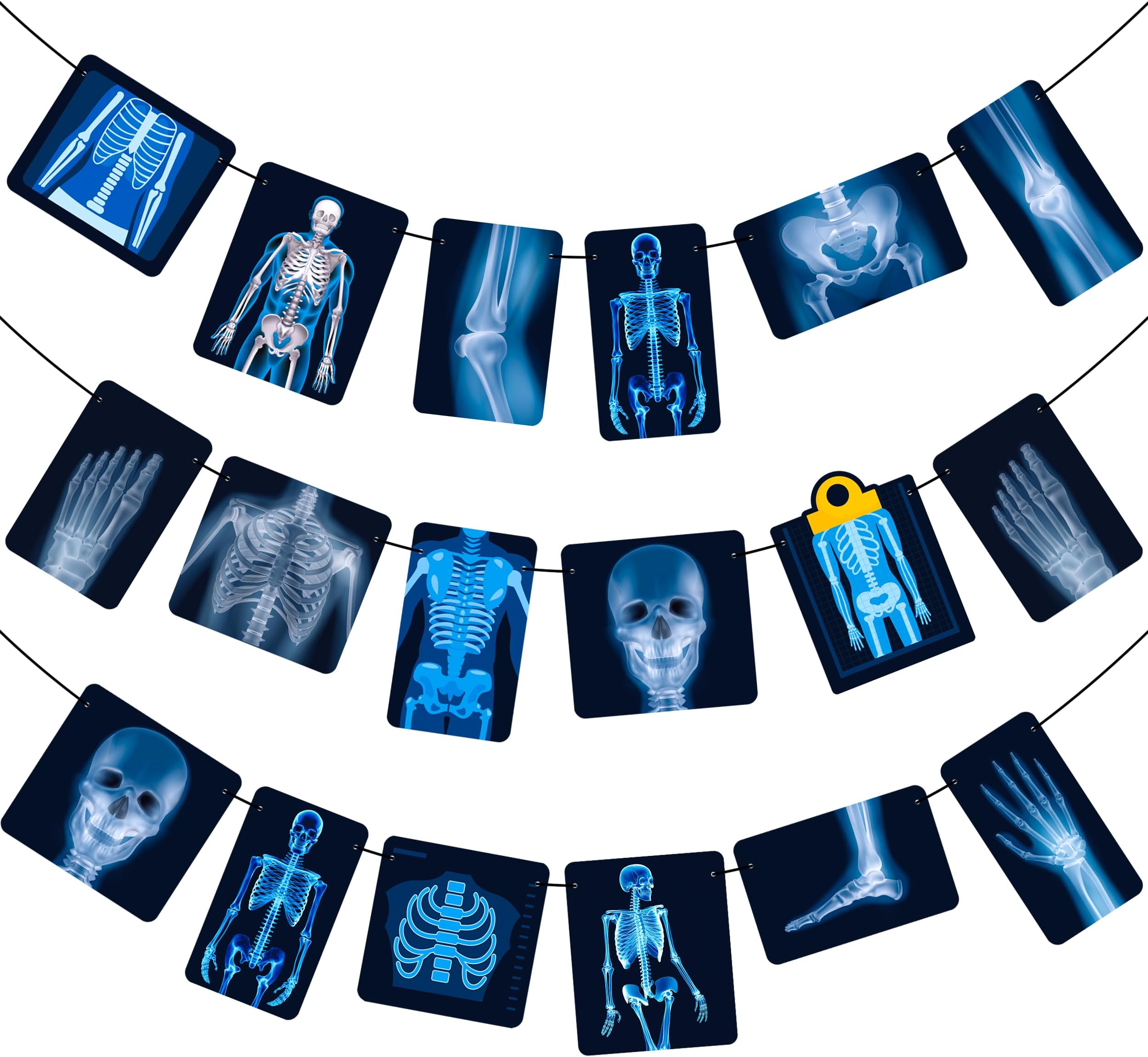 Amazon.com: 4pcs Human Anatomy Body Part Theme Banners Human Anatomy ...