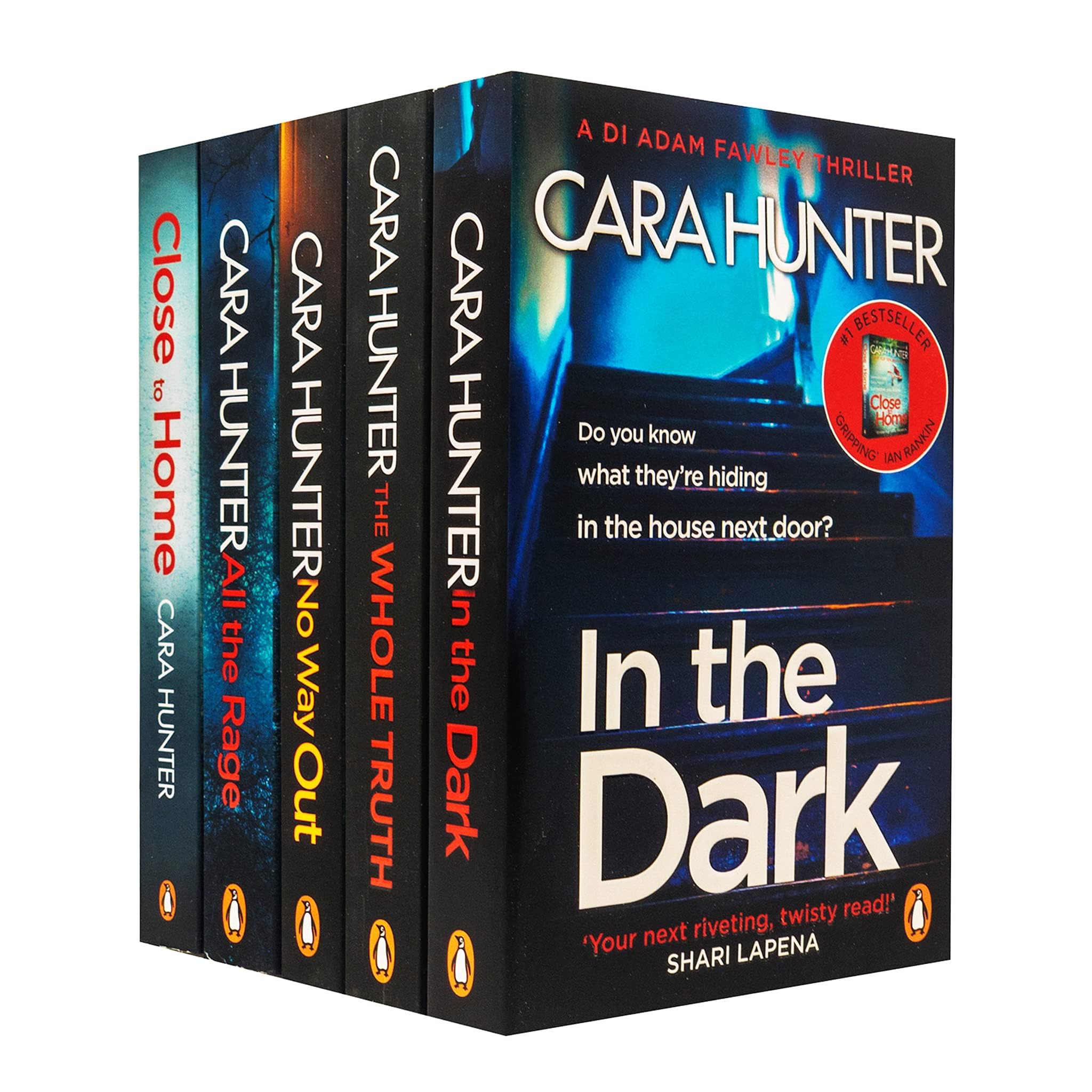 Cara Hunter DI Fawley Series 5 Books Collection Set (All the Rage, In the Dark, Close to Home ...