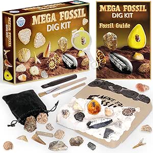 Science Kidz Mega Fossil Dig Kit - Excavate 20 Genuine Prehistoric ...