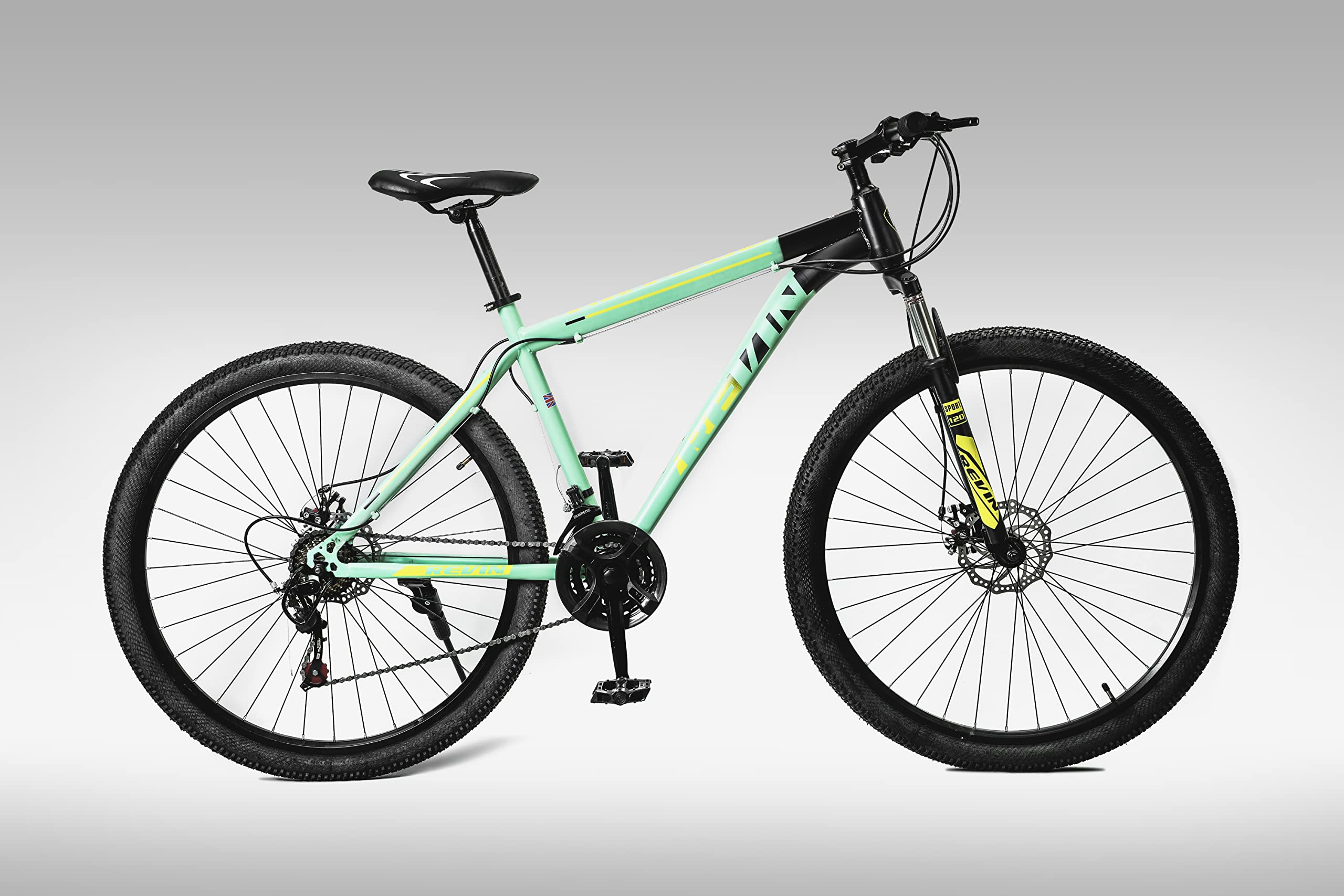 Revin Bikes Artego 29t Carbon Steel Mtb 29t Mountain Cycle | Desertcart ...