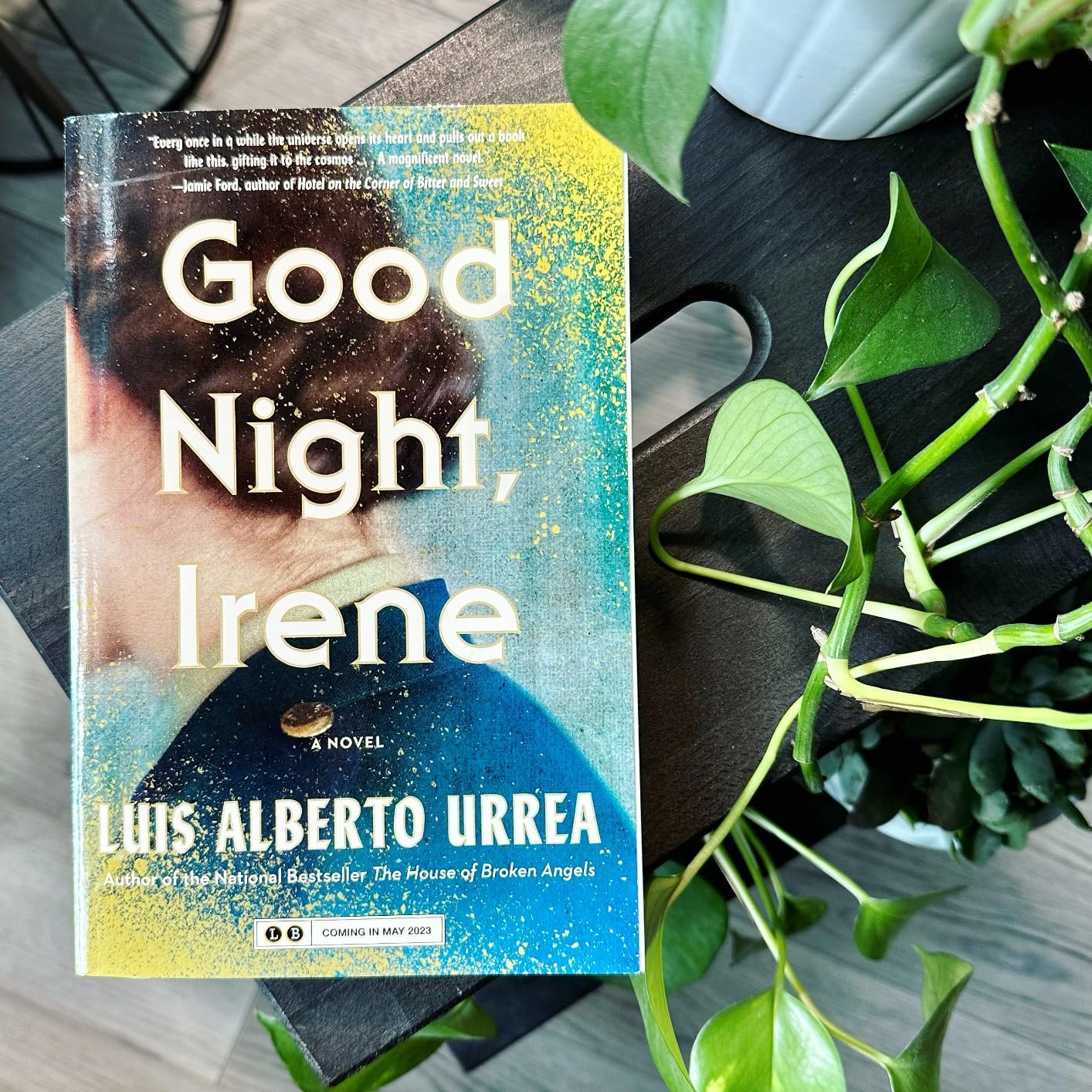 Good Night, Irene: Luis Alberto Urrea: 9780316571913: Amazon.com: Books